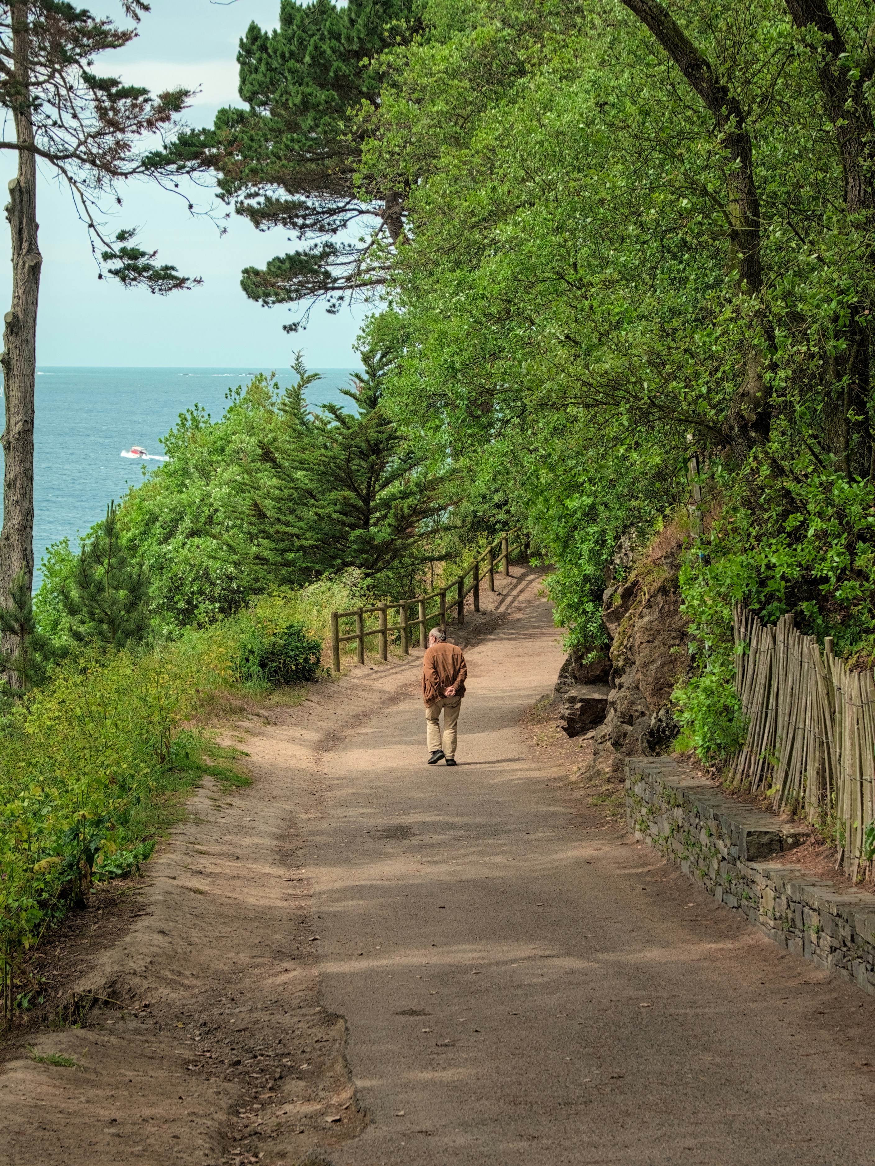 Quiet Promenade Between Pines and the Sea