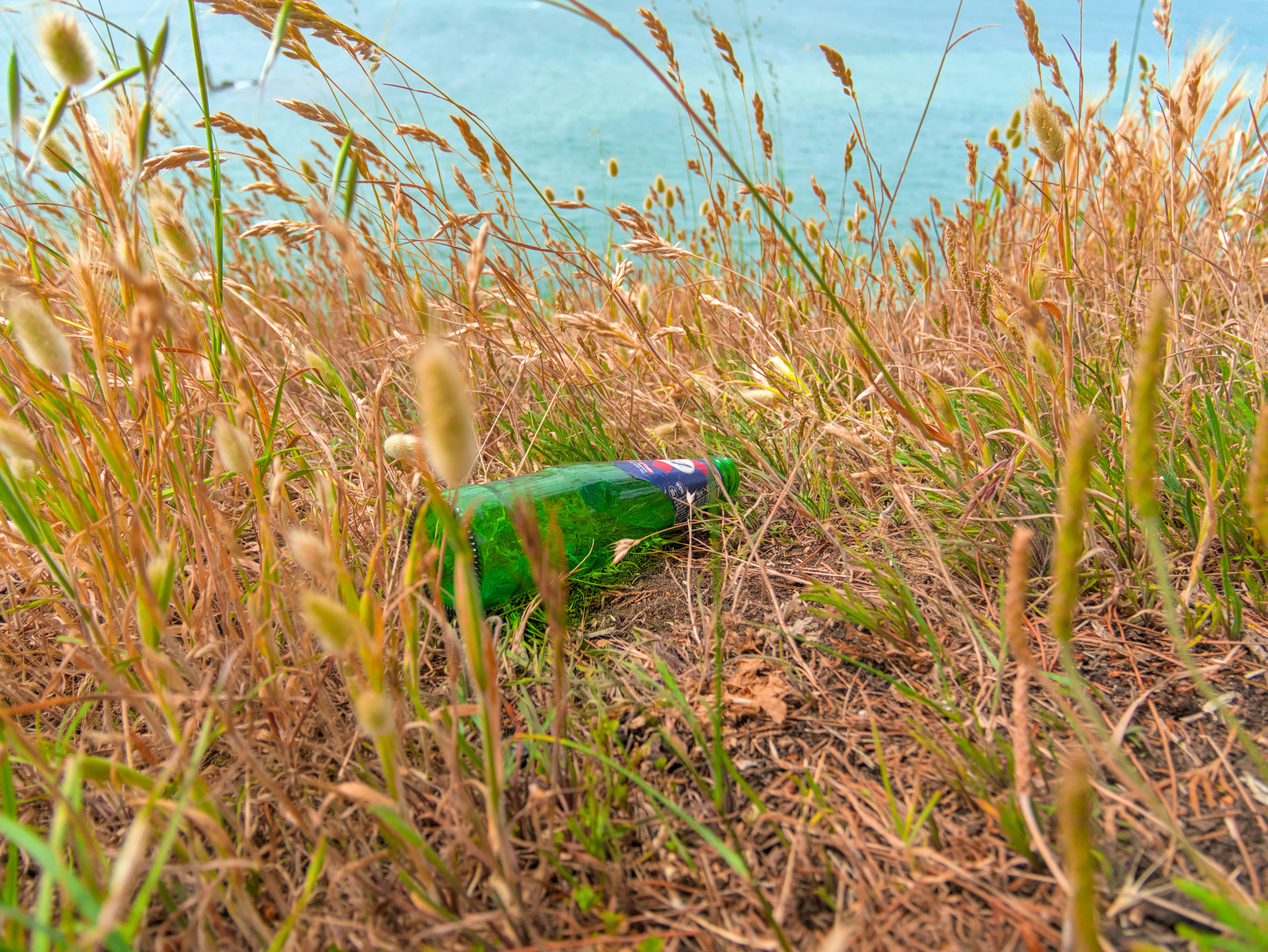 Nature's Forgotten Artifact