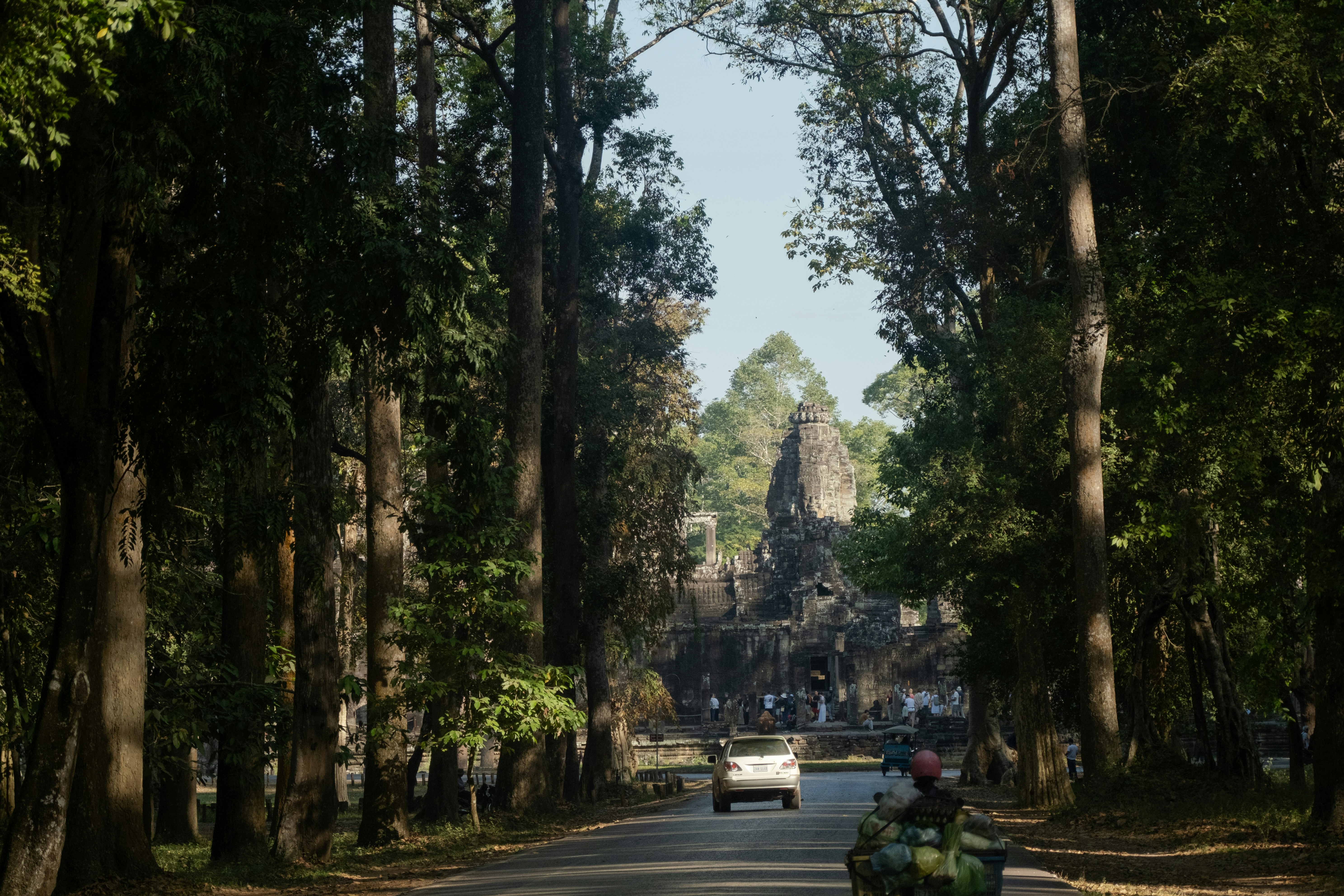 Through the Timber Gate: Road to an Ancient Temple