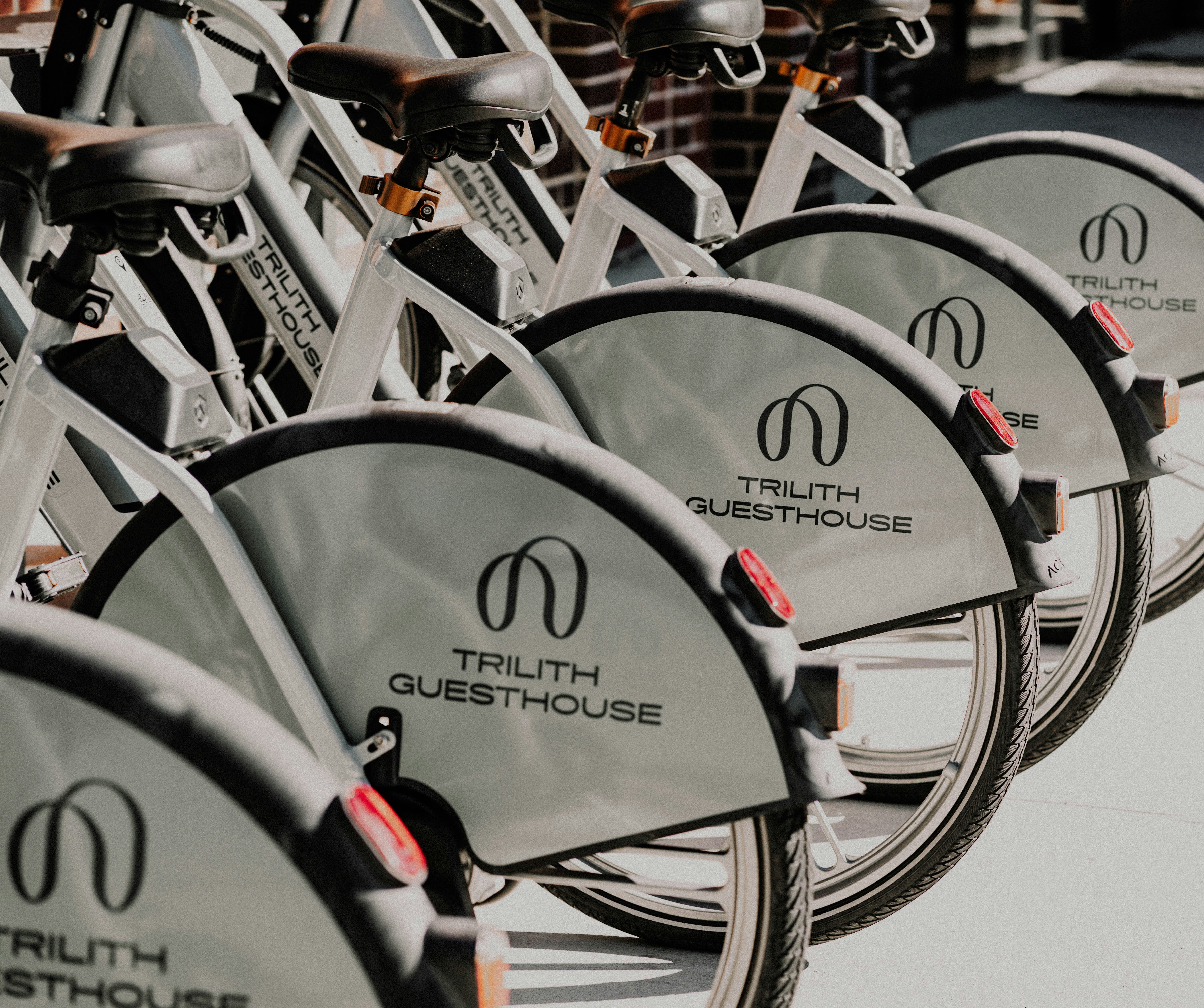 Urban Mobility: A Symphony of Bicycles