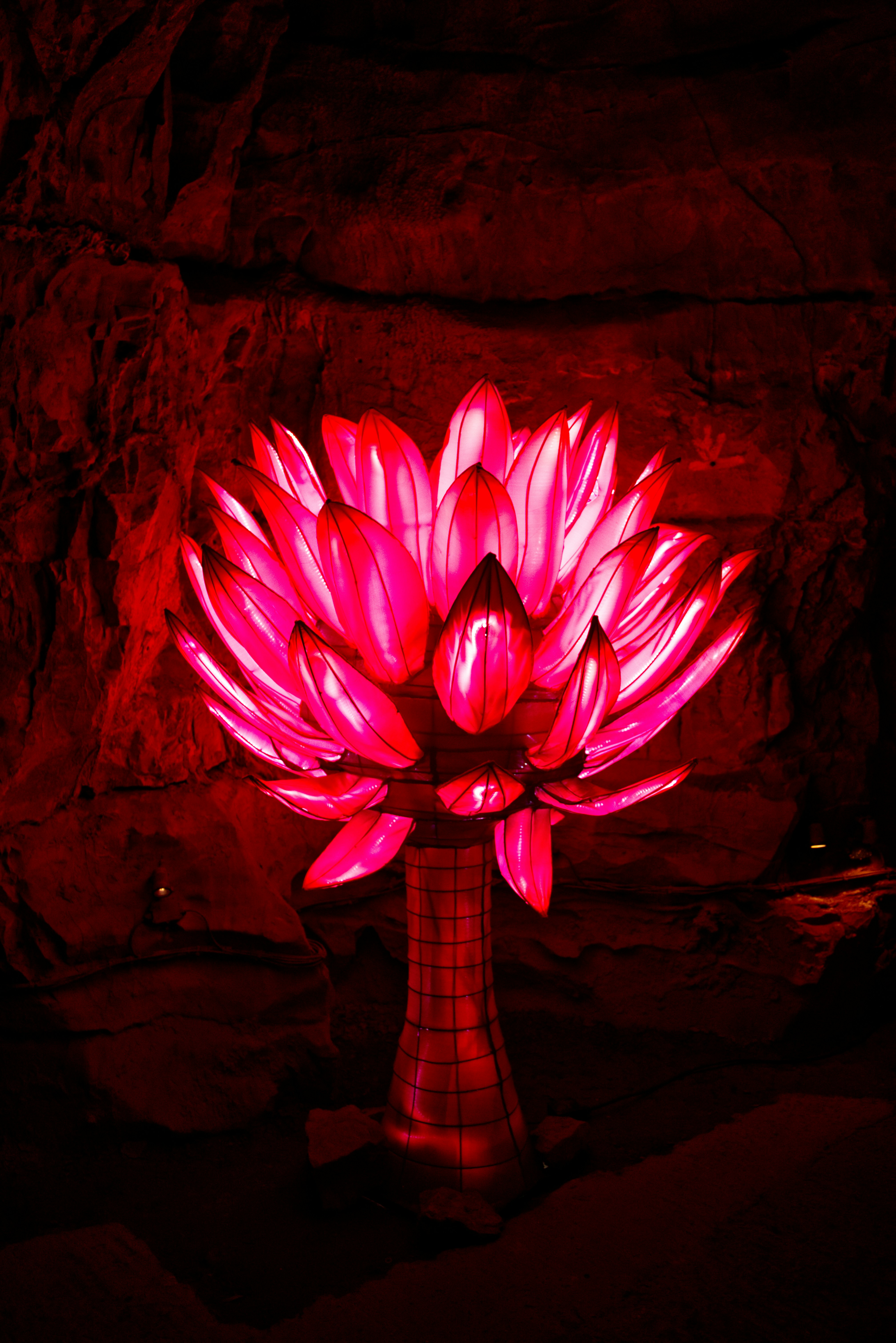 Crimson Lotus Lantern: Neon Bloom in a Cavern