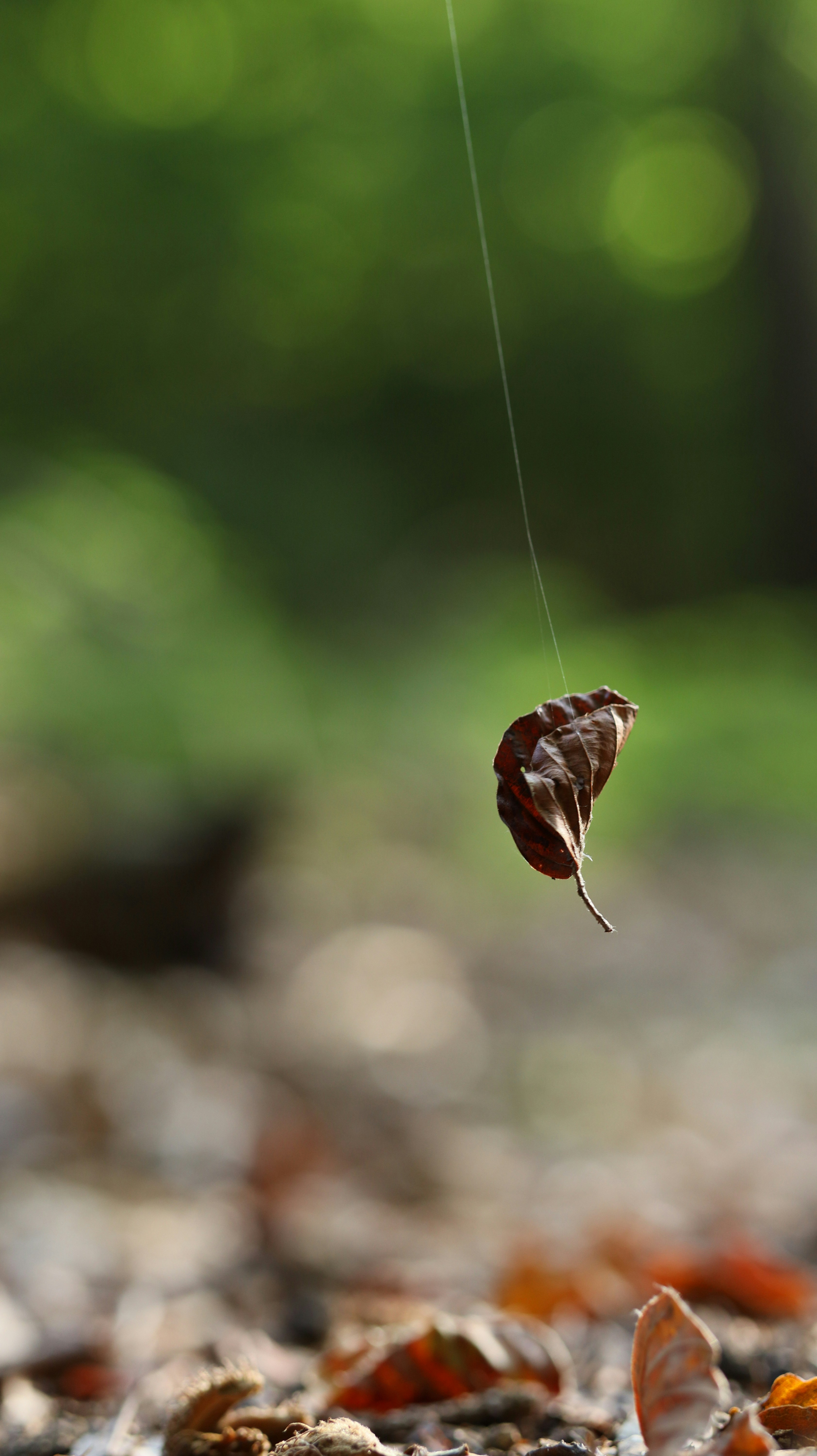 Photo by Hanna Theresia Pitter with Canon EOS M50 Mark II