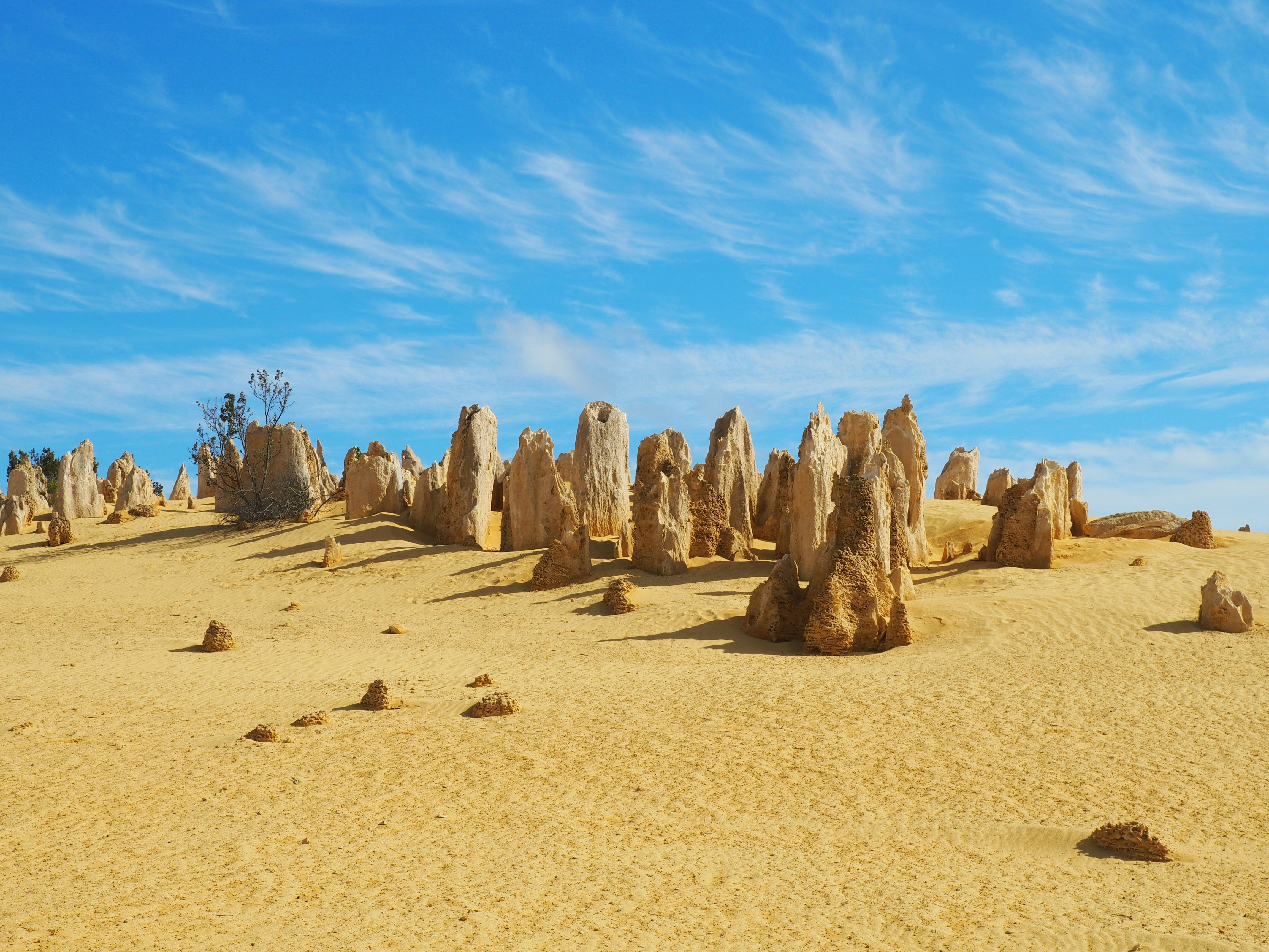 The Pinnacles at the Nambung Nationalpark