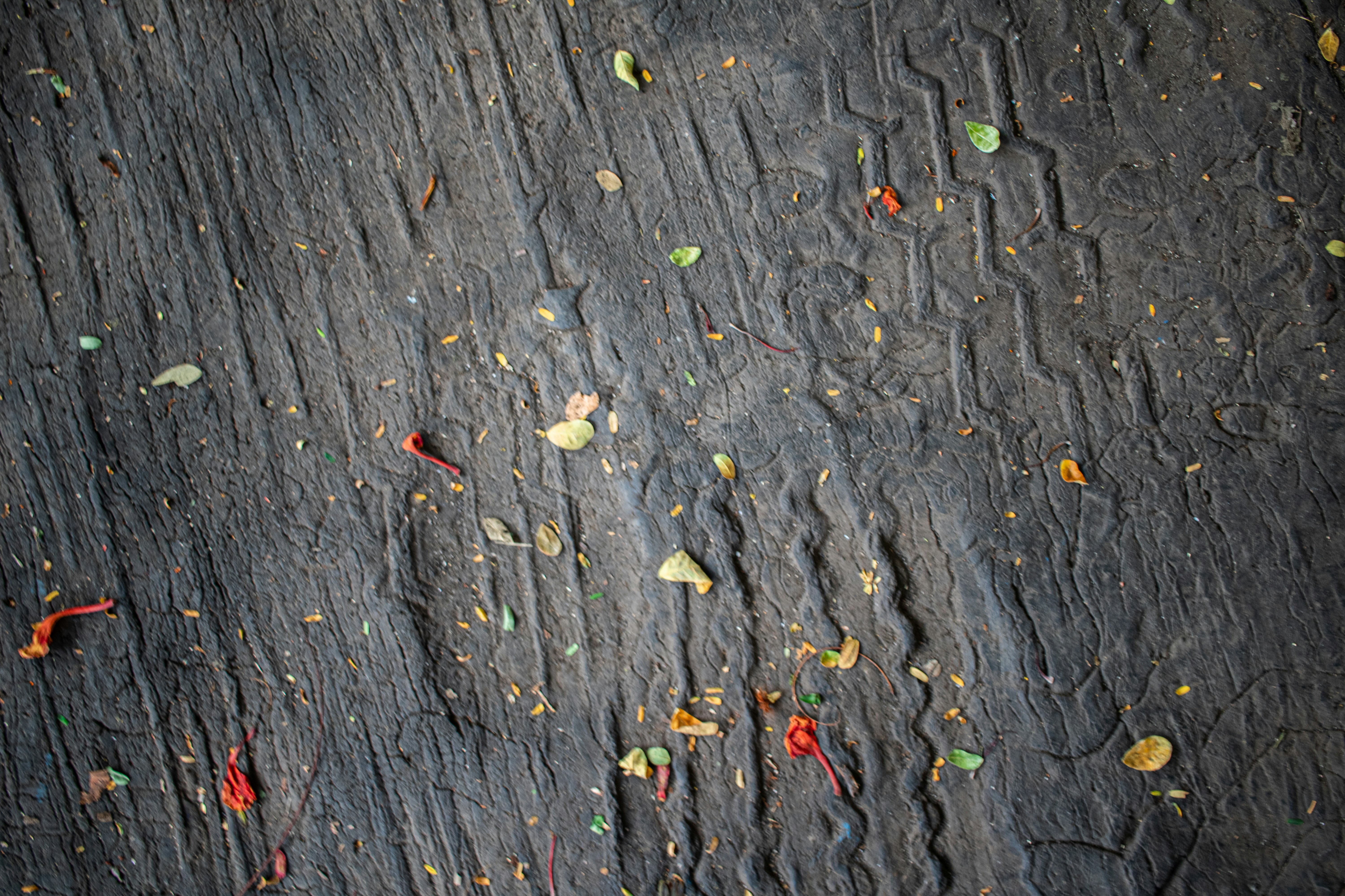 Textured Asphalt Road with Tire Marks