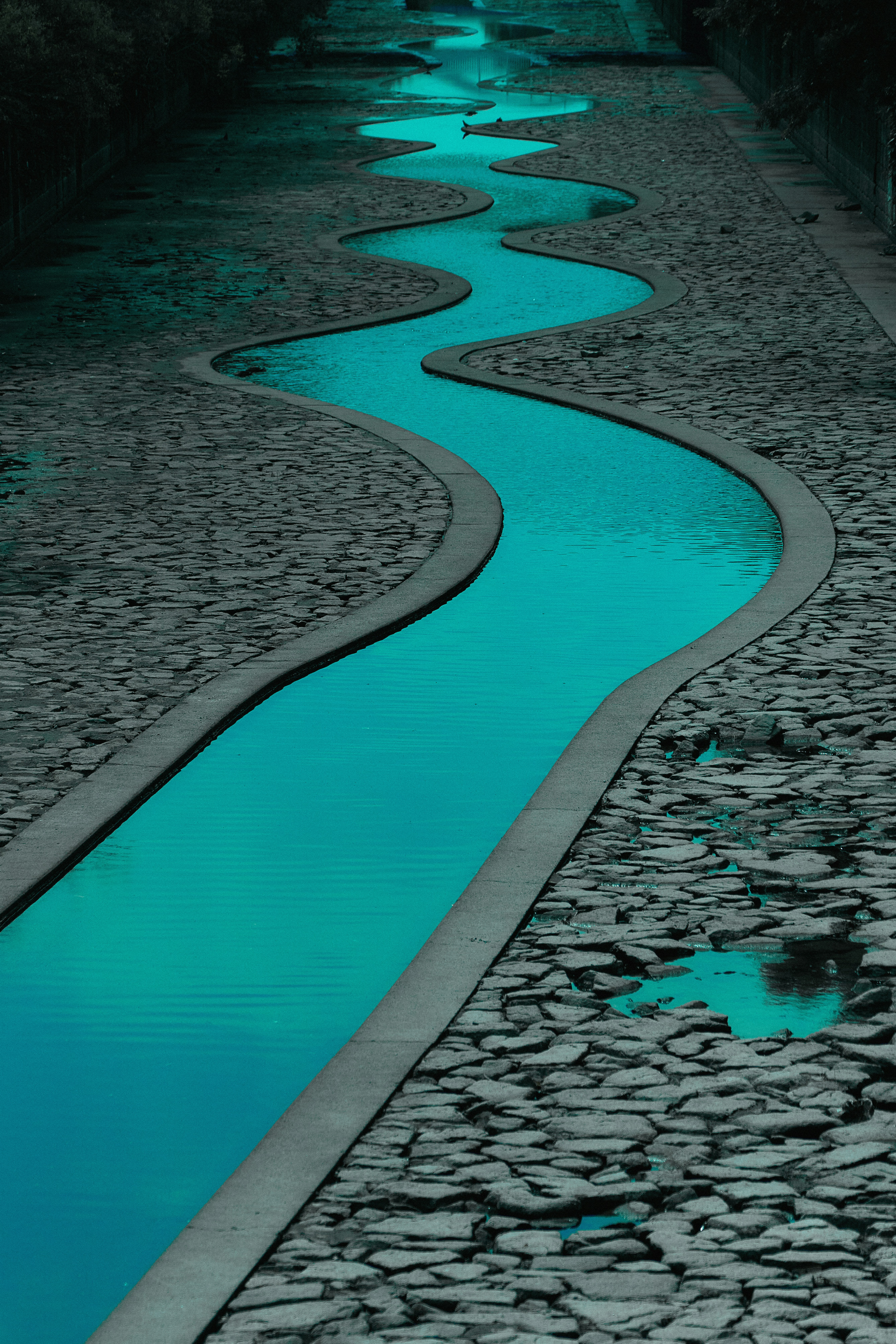 Serpentine Reflections: A Journey Through Tranquility