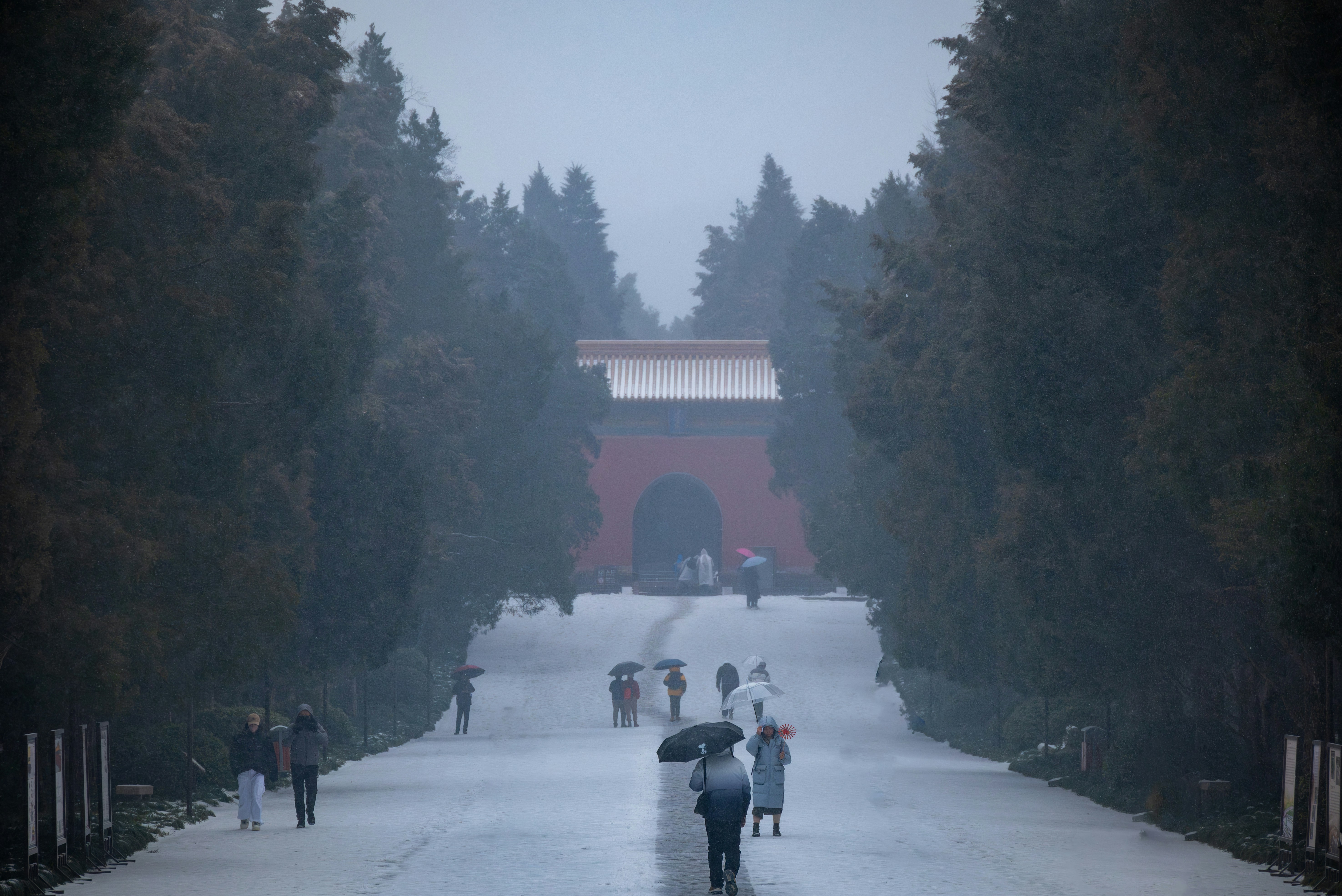 Visitors stroll along a serene, tree-lined avenue under umbrellas, leading to a distant architectural structure shrouded in mist.