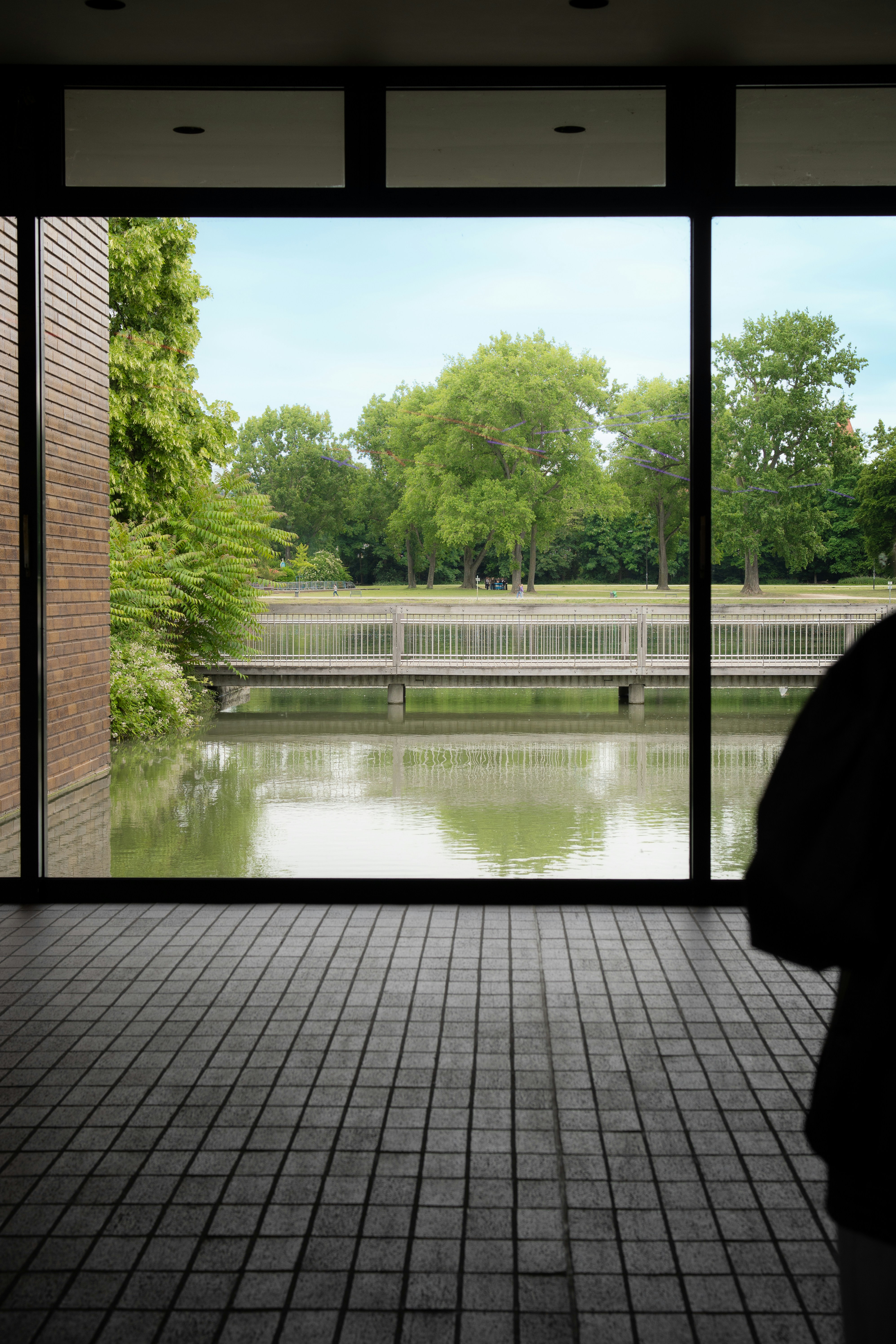 Framed by Glass: A Quiet Park Beyond the Corridor