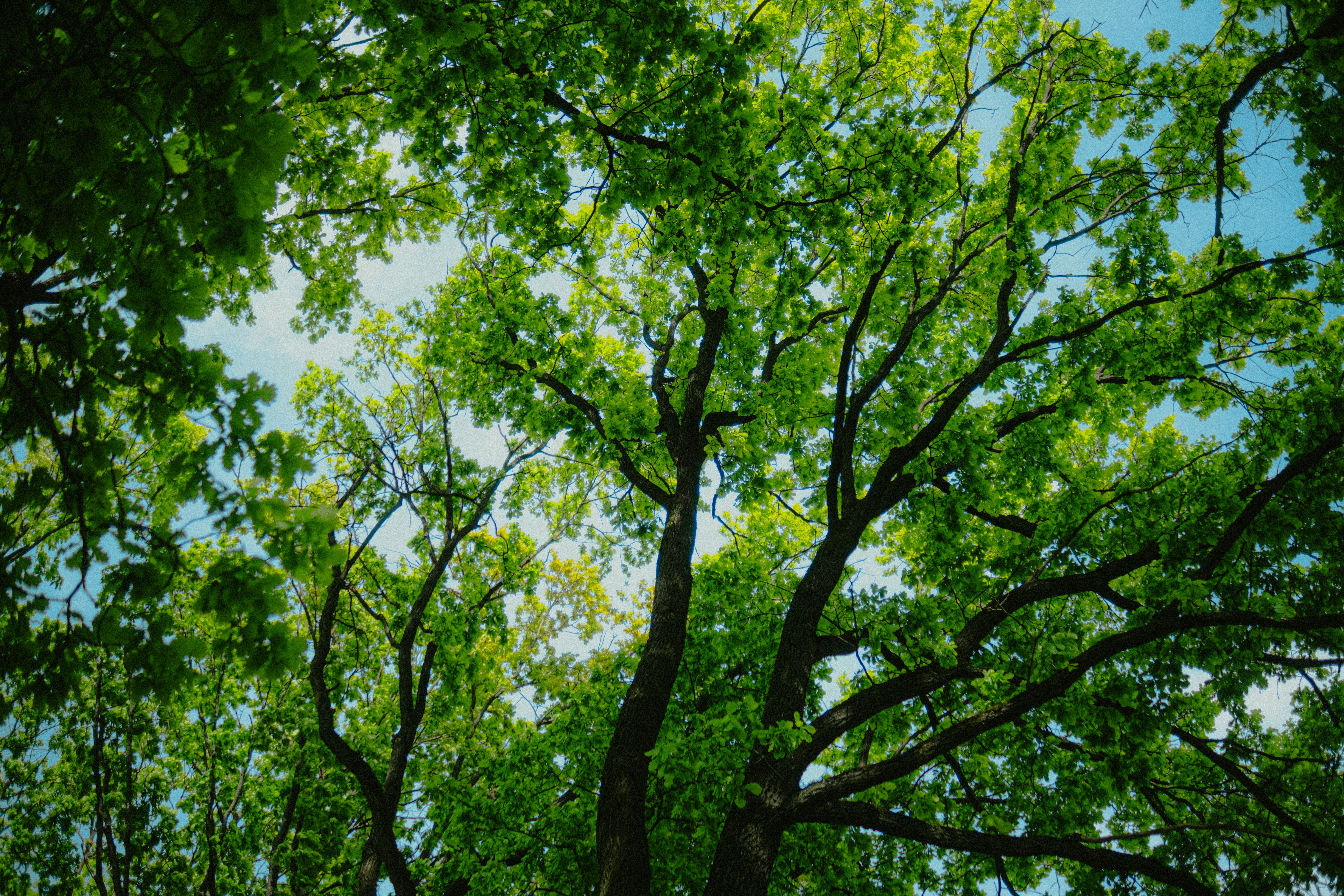 Photo by Hanna Lazar with Fujifilm X-S10