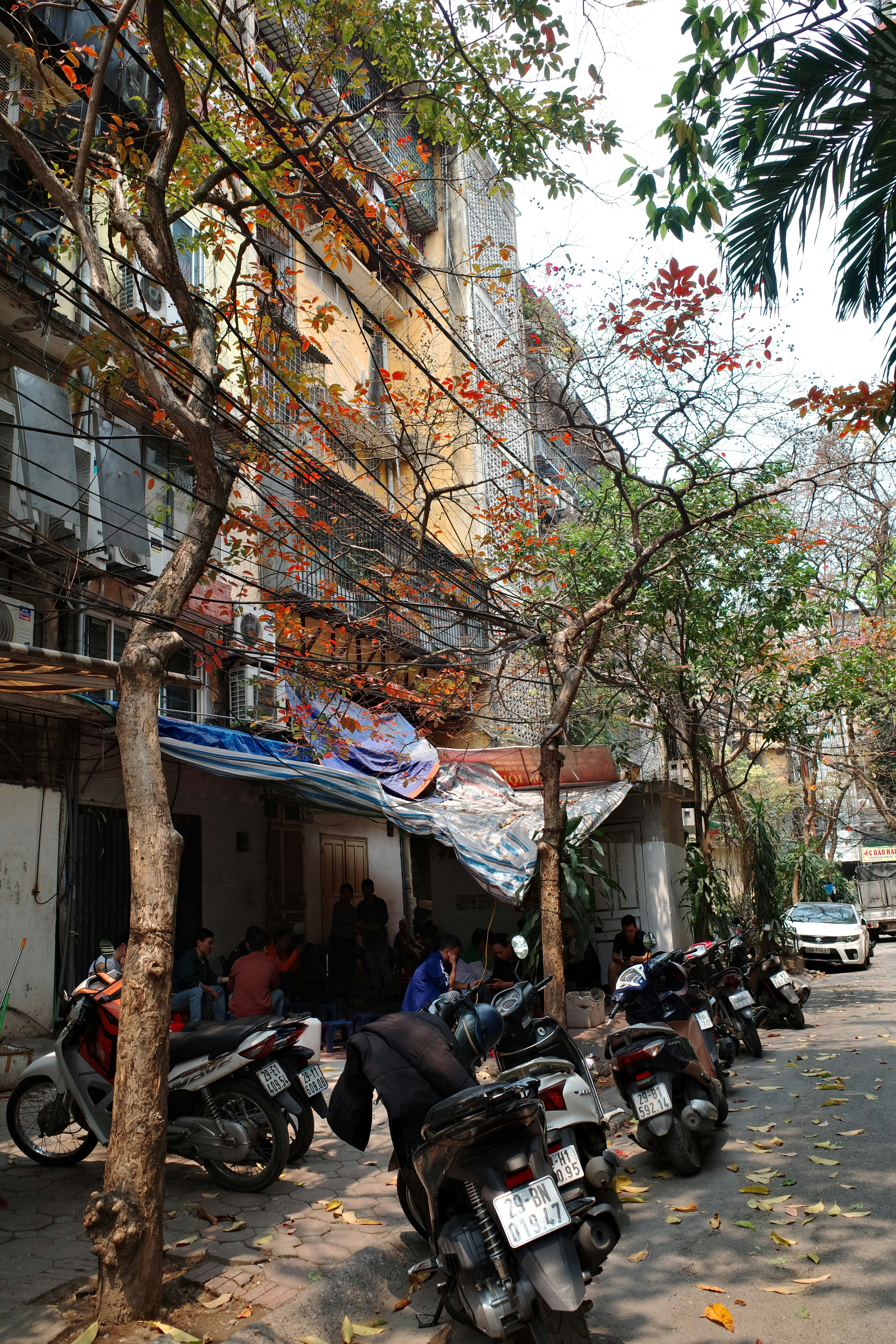 Hà Nội mùa thay lá | Motorcycles are parked along a busy city street.