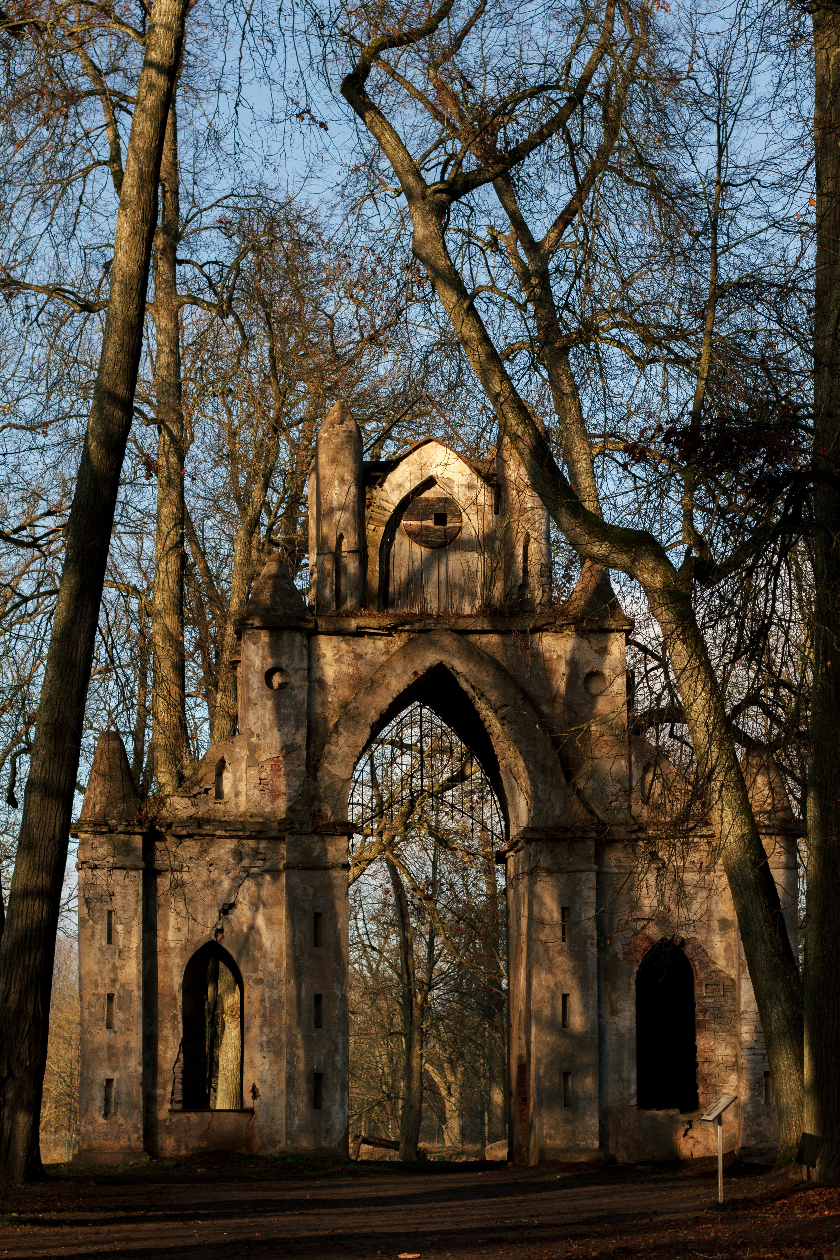 Sunlit Ruin Arch in a Whispering Forest