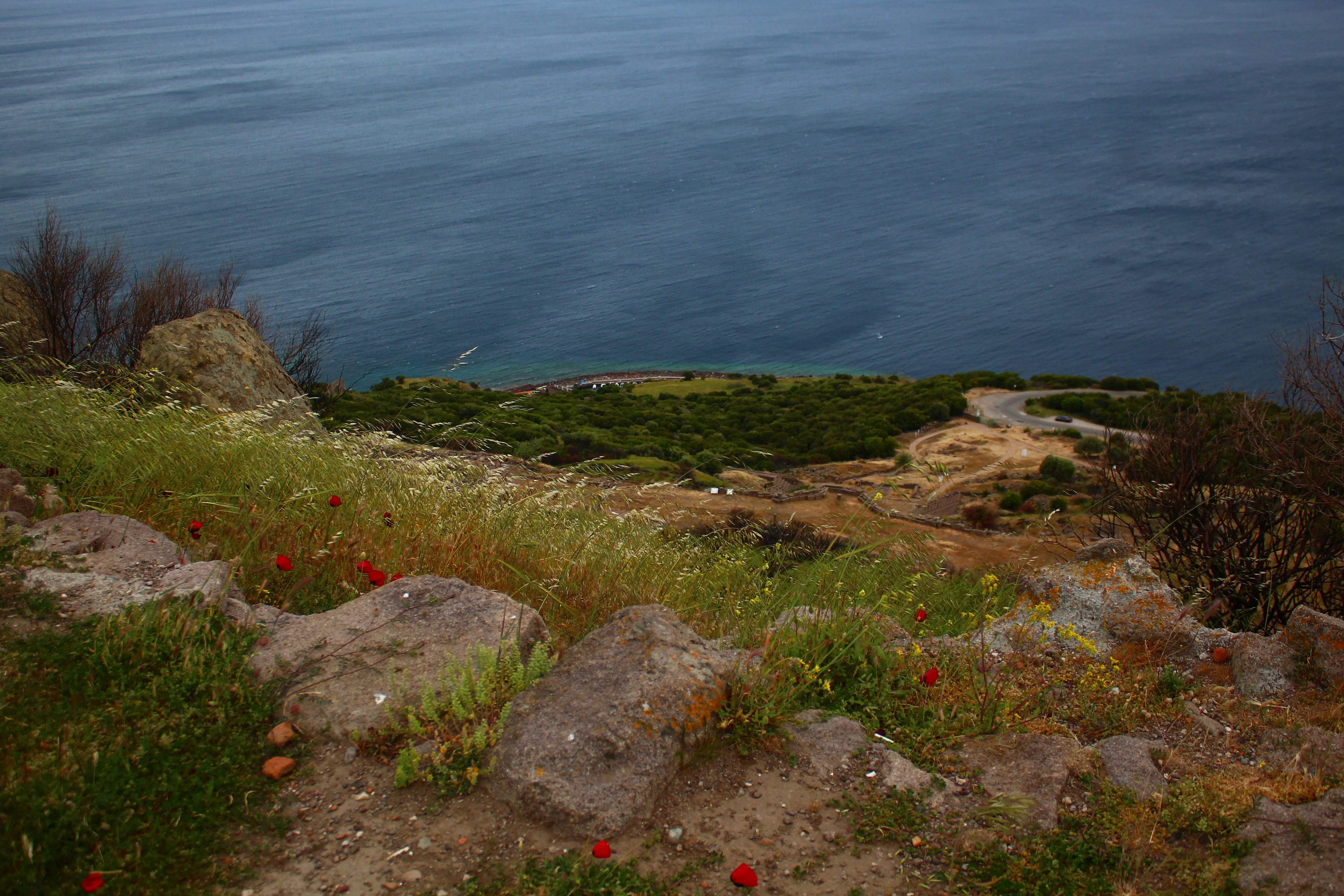 Photo by Seval Torun with Canon EOS 4000D