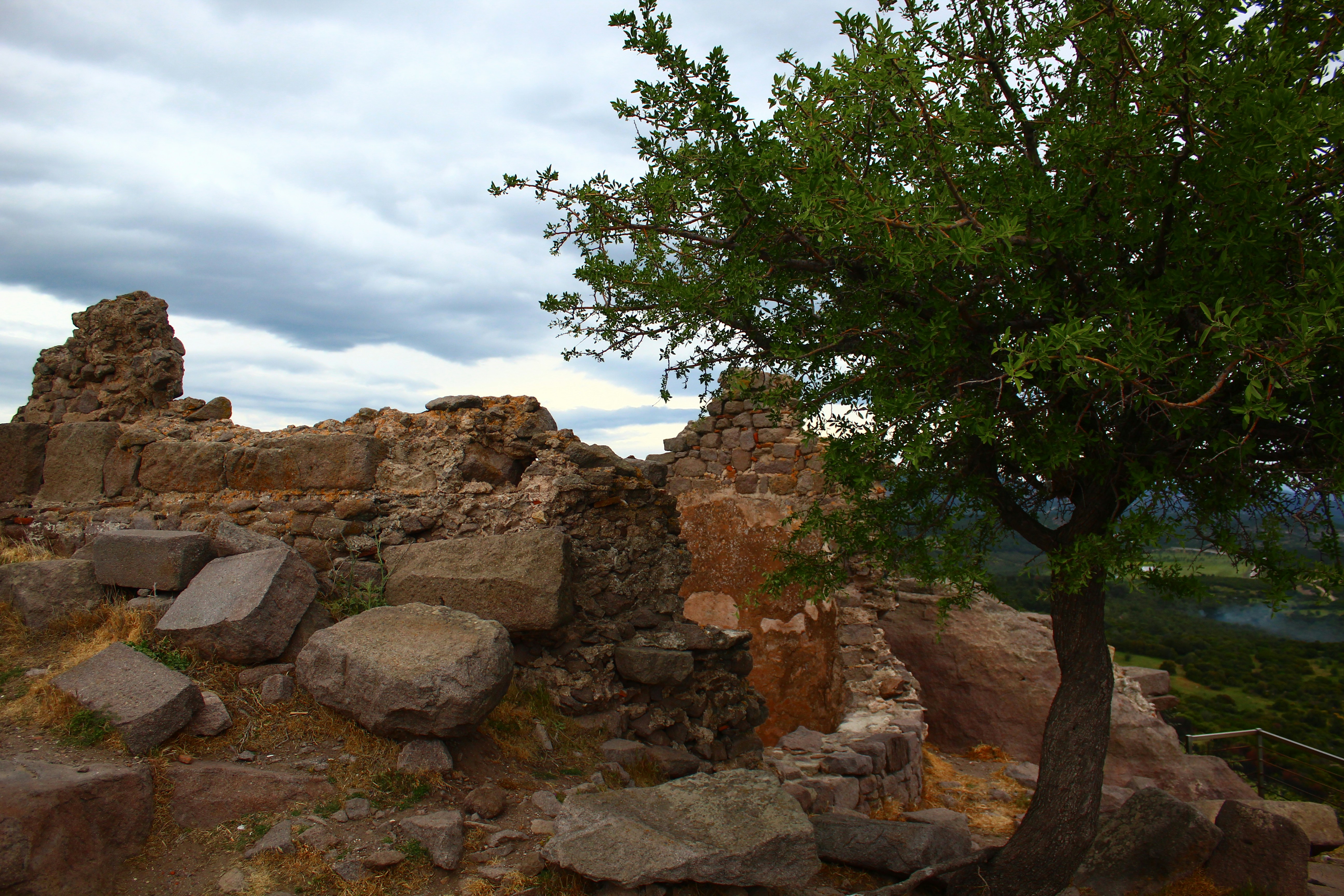 Stone Sentinels and a Gnarled Tree at the Edge of the Valley
