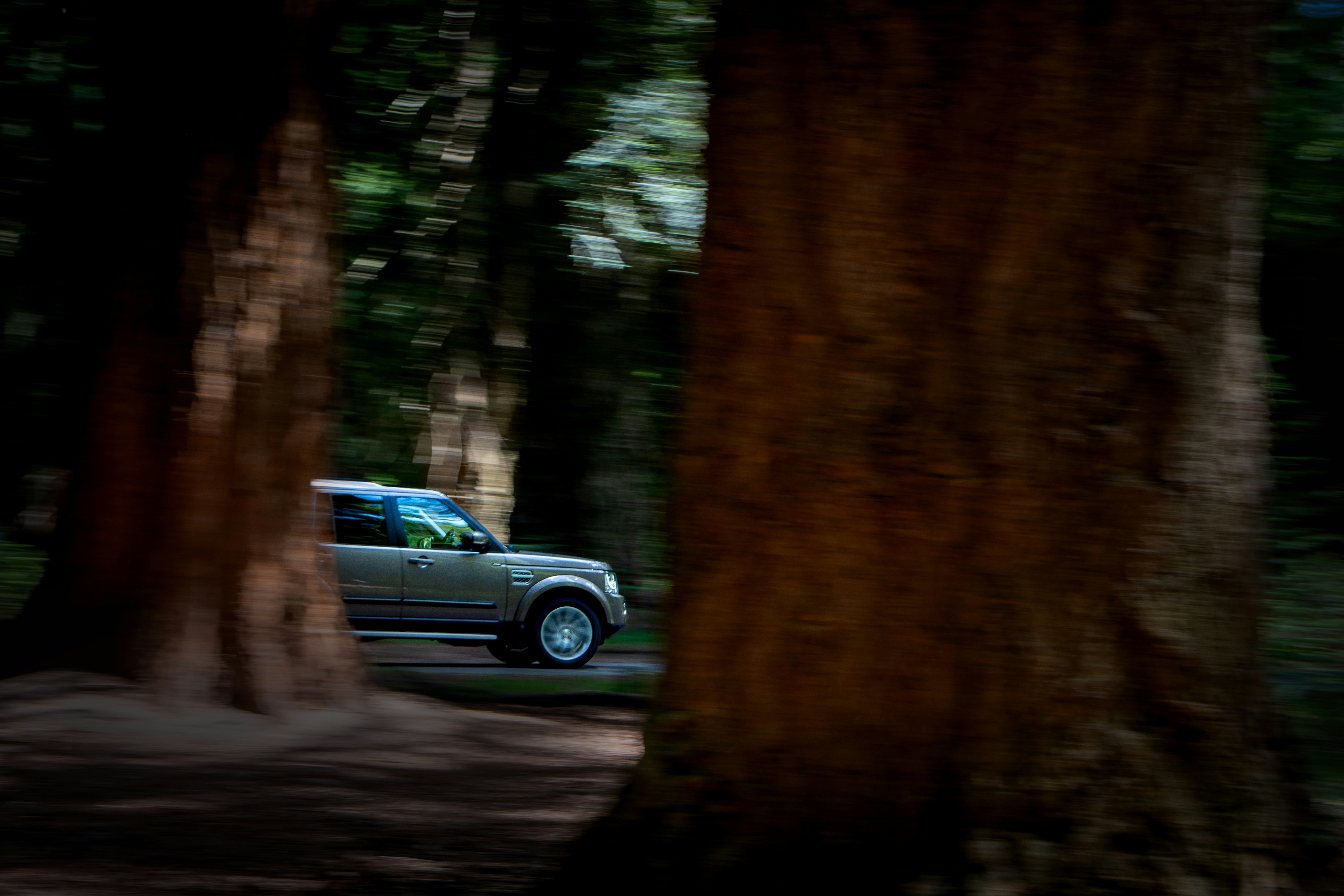 Motion Through the Canopy