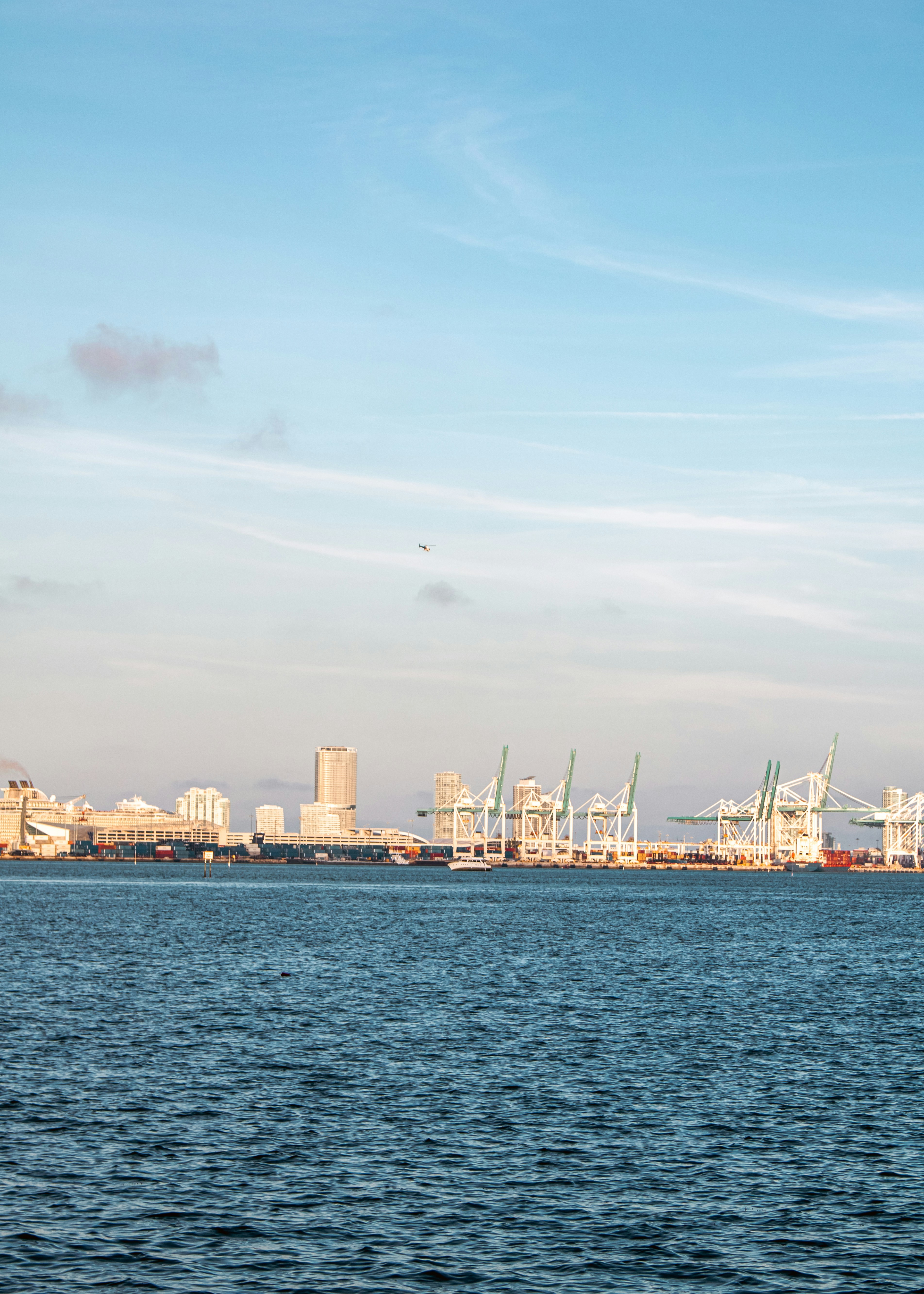A bustling harbor scene showcasing cranes and city skyline against a serene water backdrop. The image captures the intersection of urban life and maritime activity.