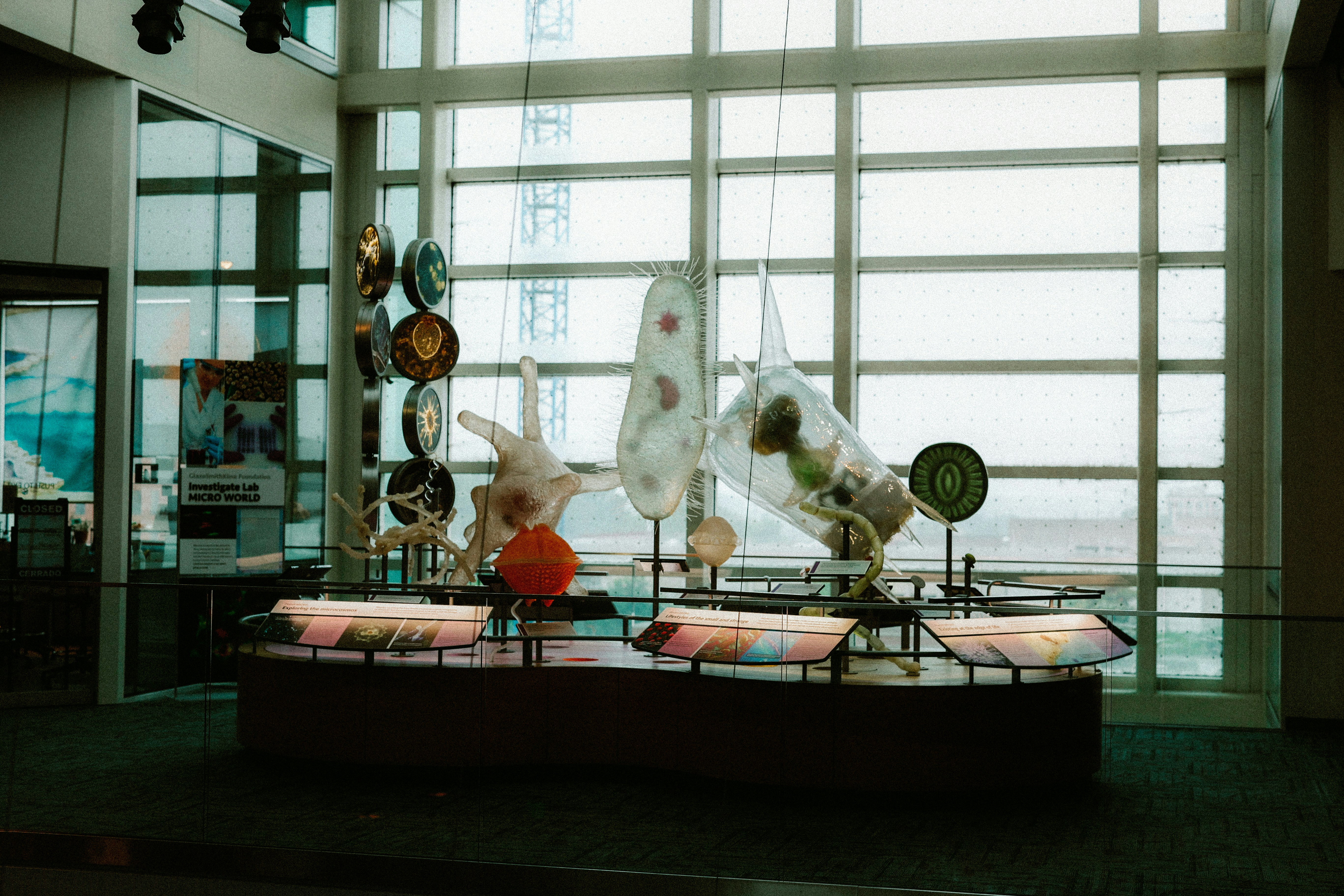 Translucent Figures on a Low Platform in a Sunlit Gallery