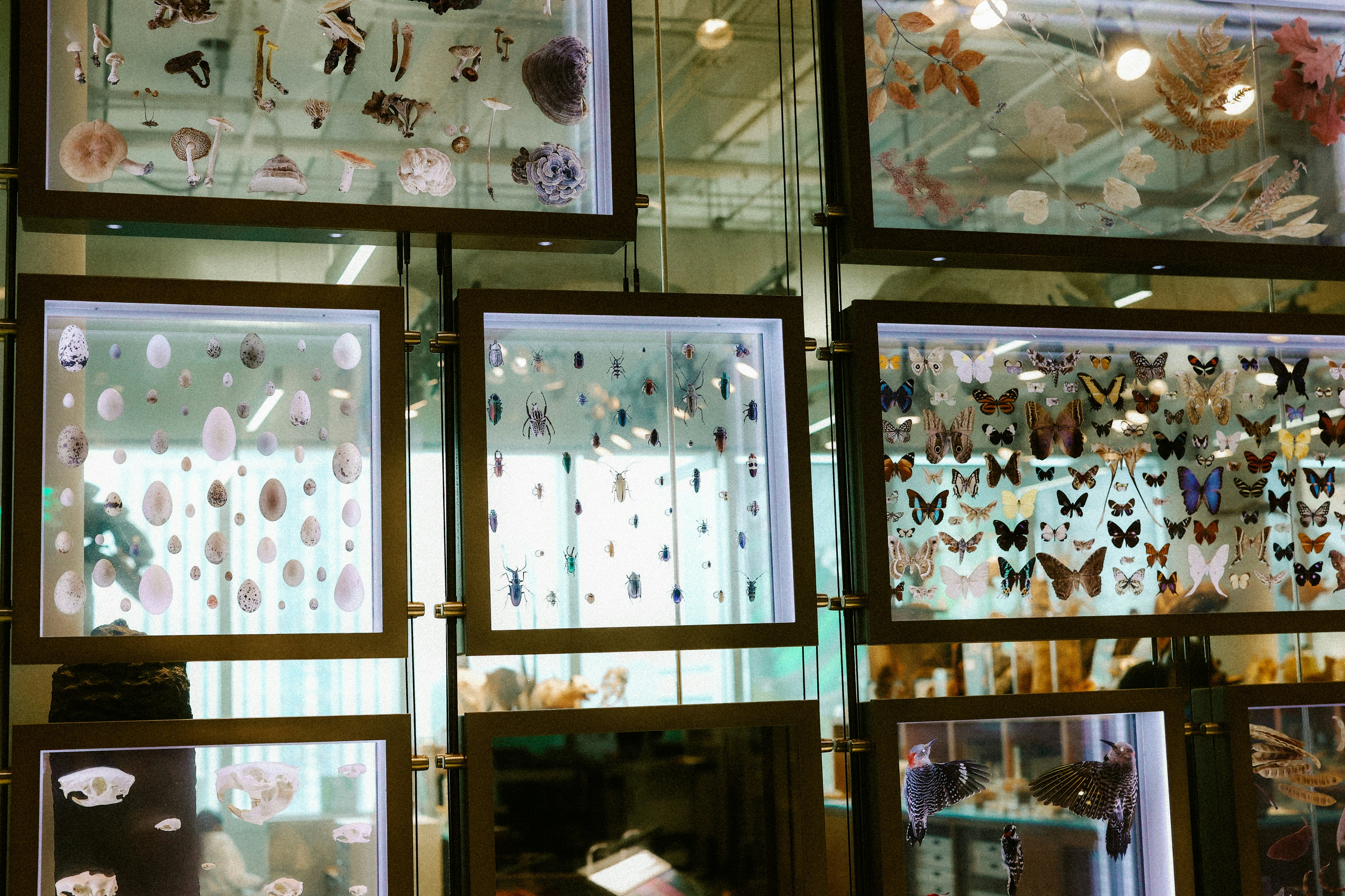 Photo by Brooke Balentine with Canon EOS R6