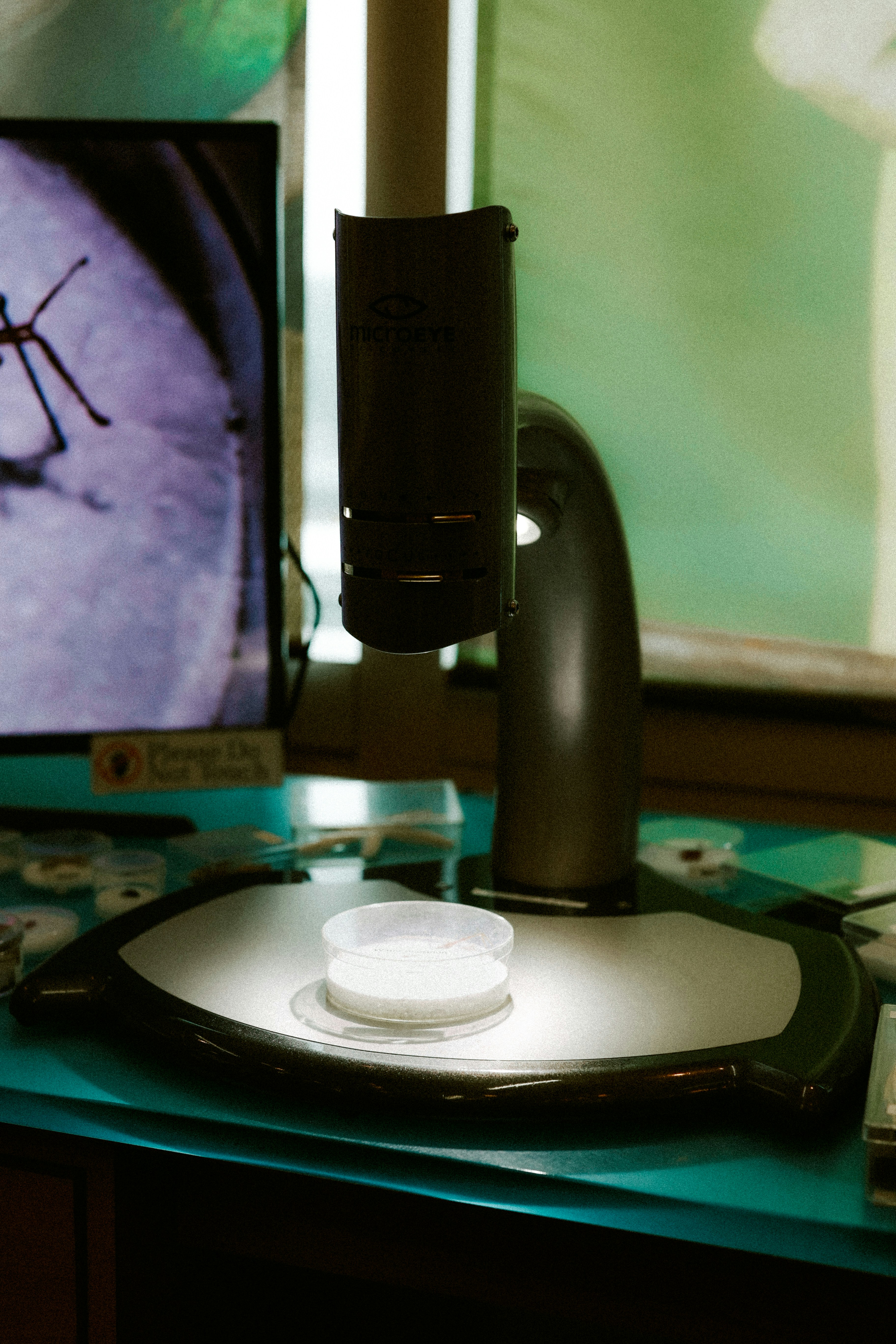 A microscope is observing a sample. photo – Free Furniture Image on ...