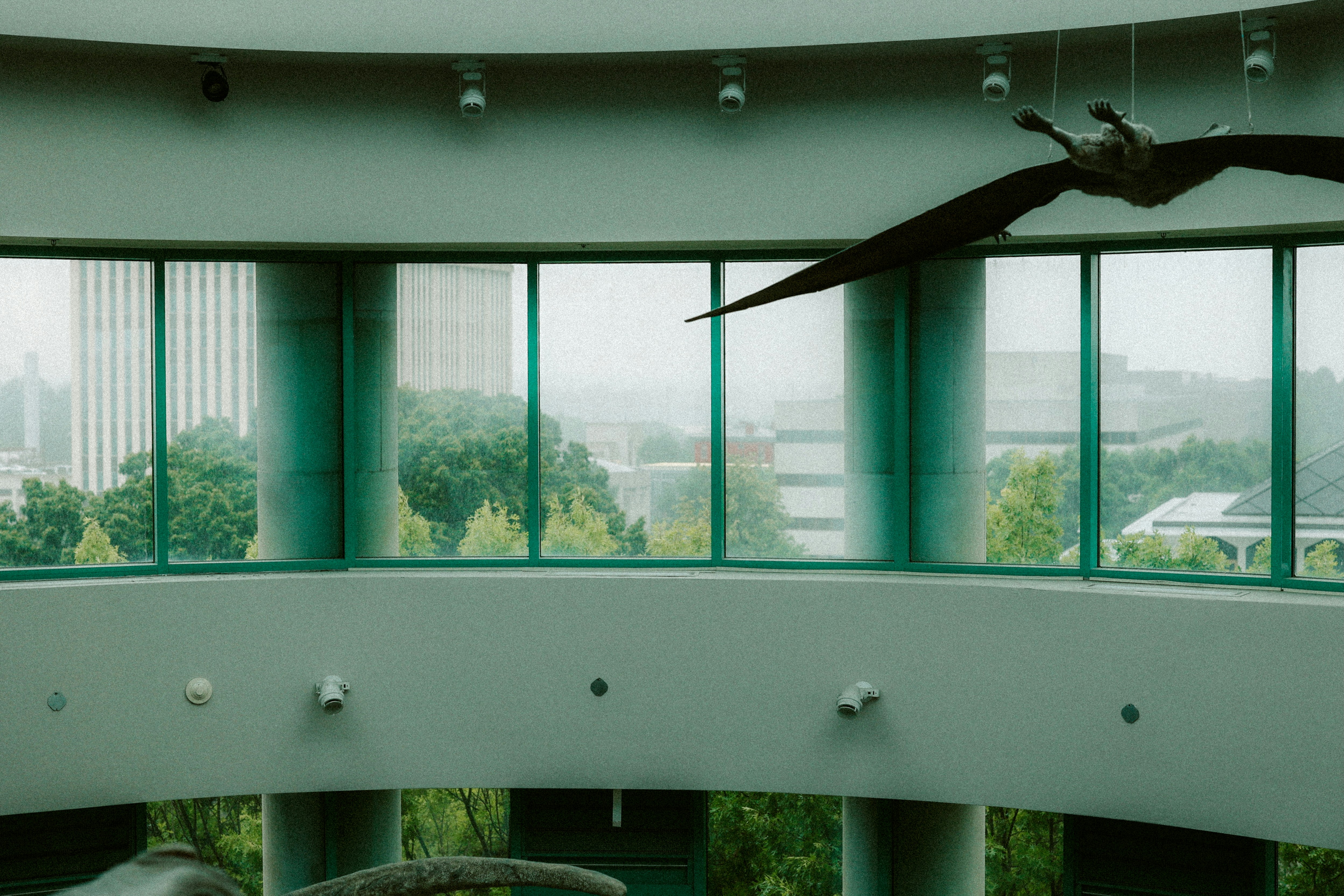 Flight Over Glass: A Hushed Interior with a Sculpted Bird