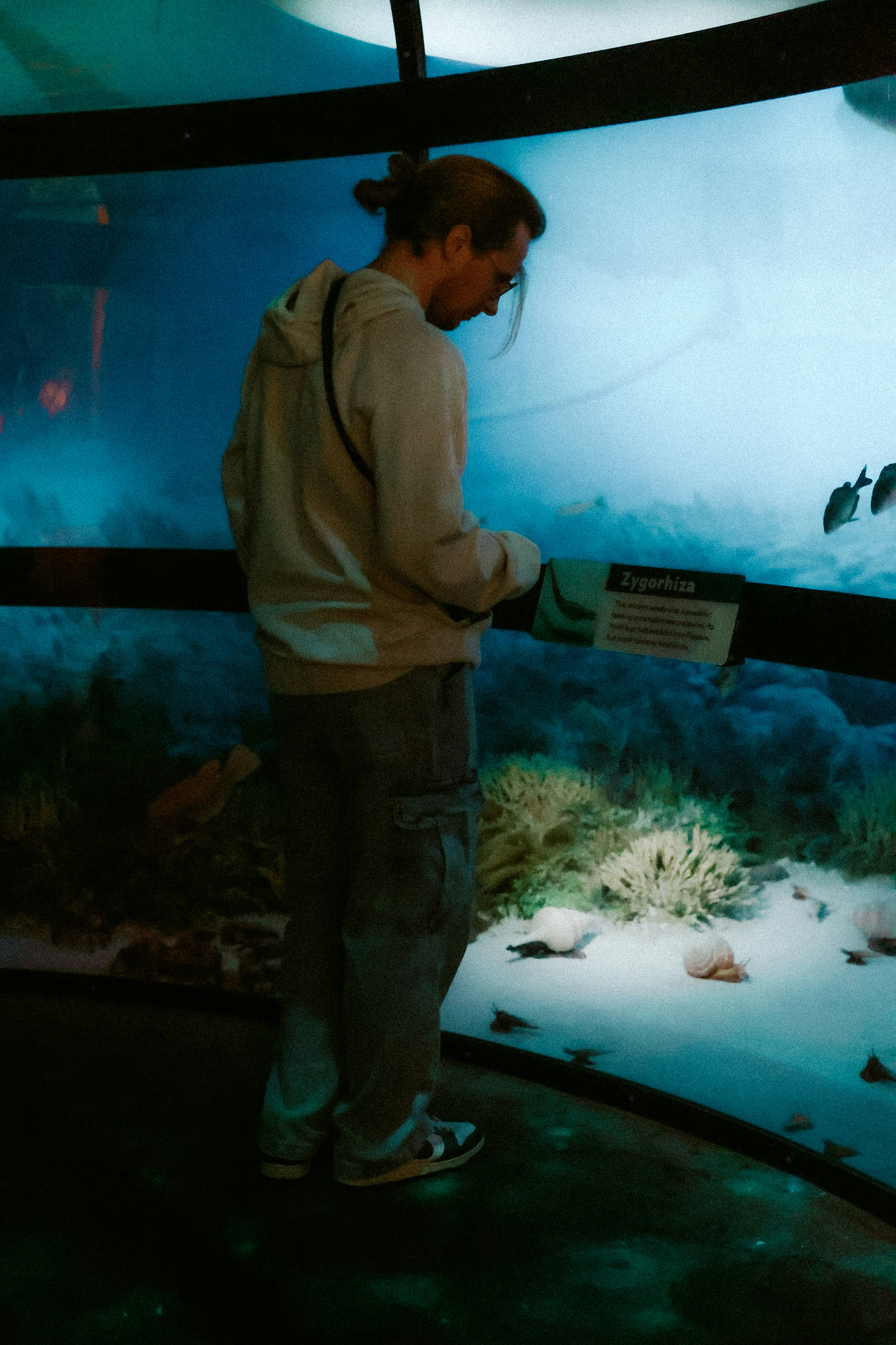 Blue-Hued Moment: A Quiet Visitor at the Aquarium Exhibit