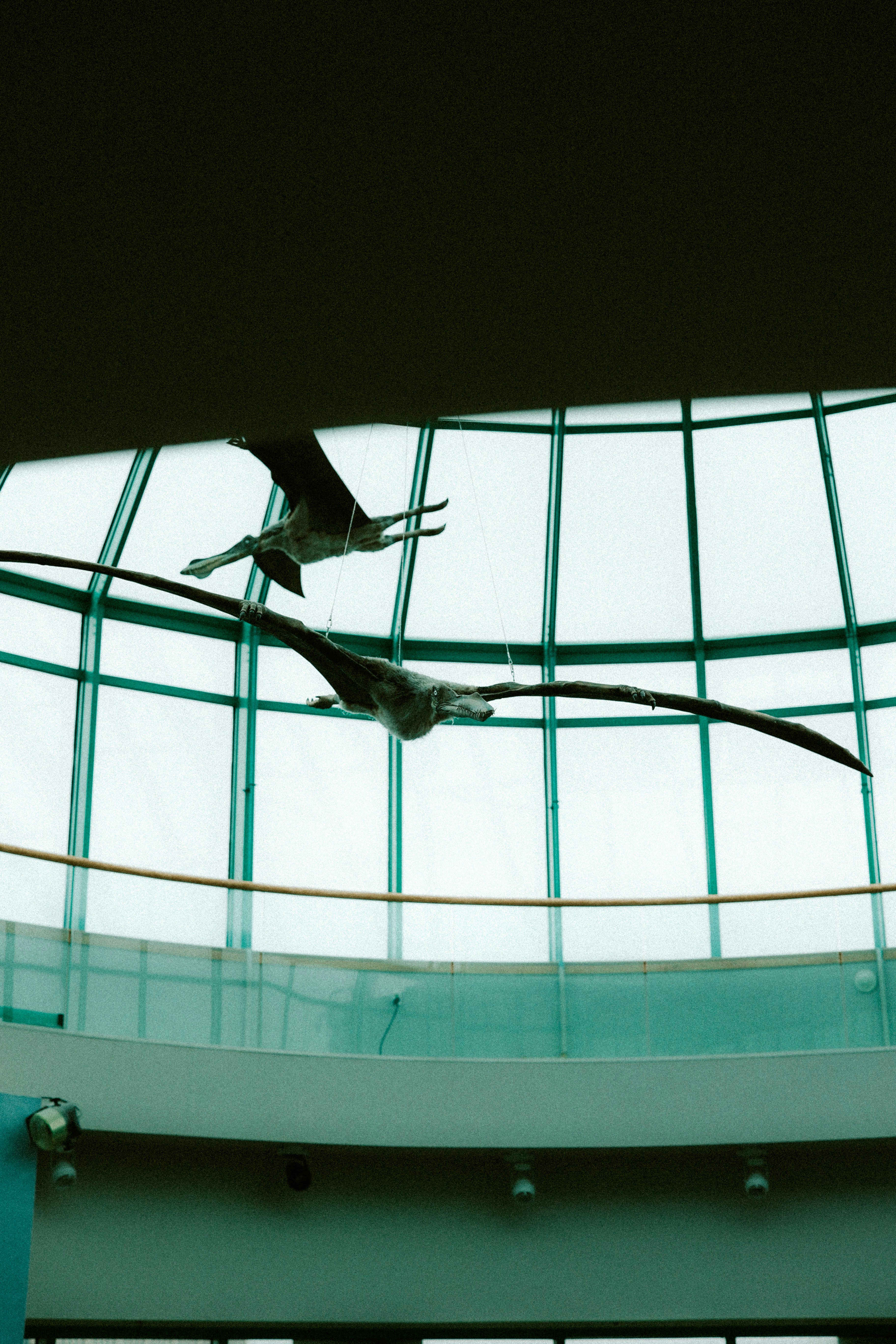 Glass Aviary: Pteranodon Silhouette Over the Curved Atrium