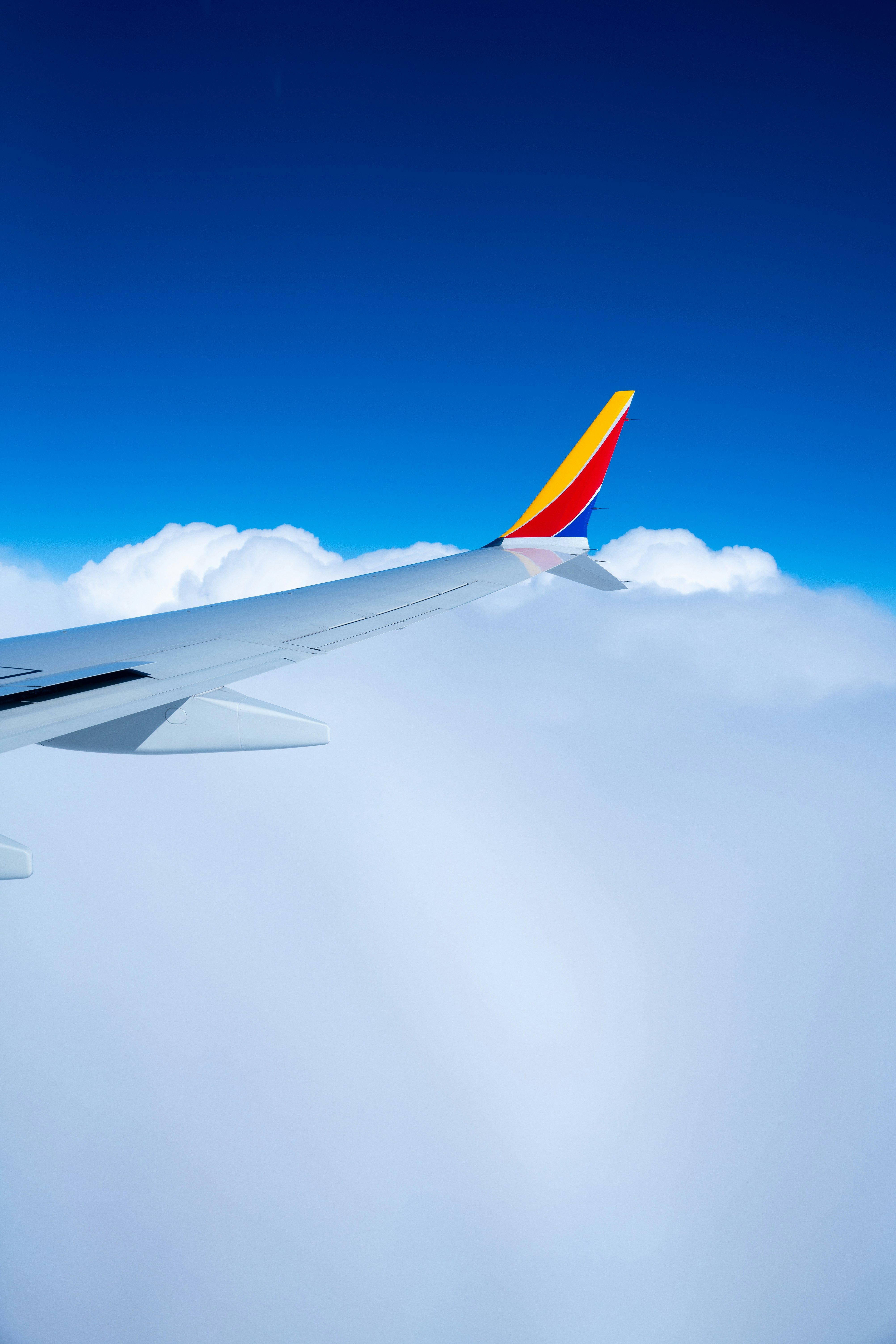 Color-Tipped Wing Above a Sea of Clouds in Clear Cerulean Sky