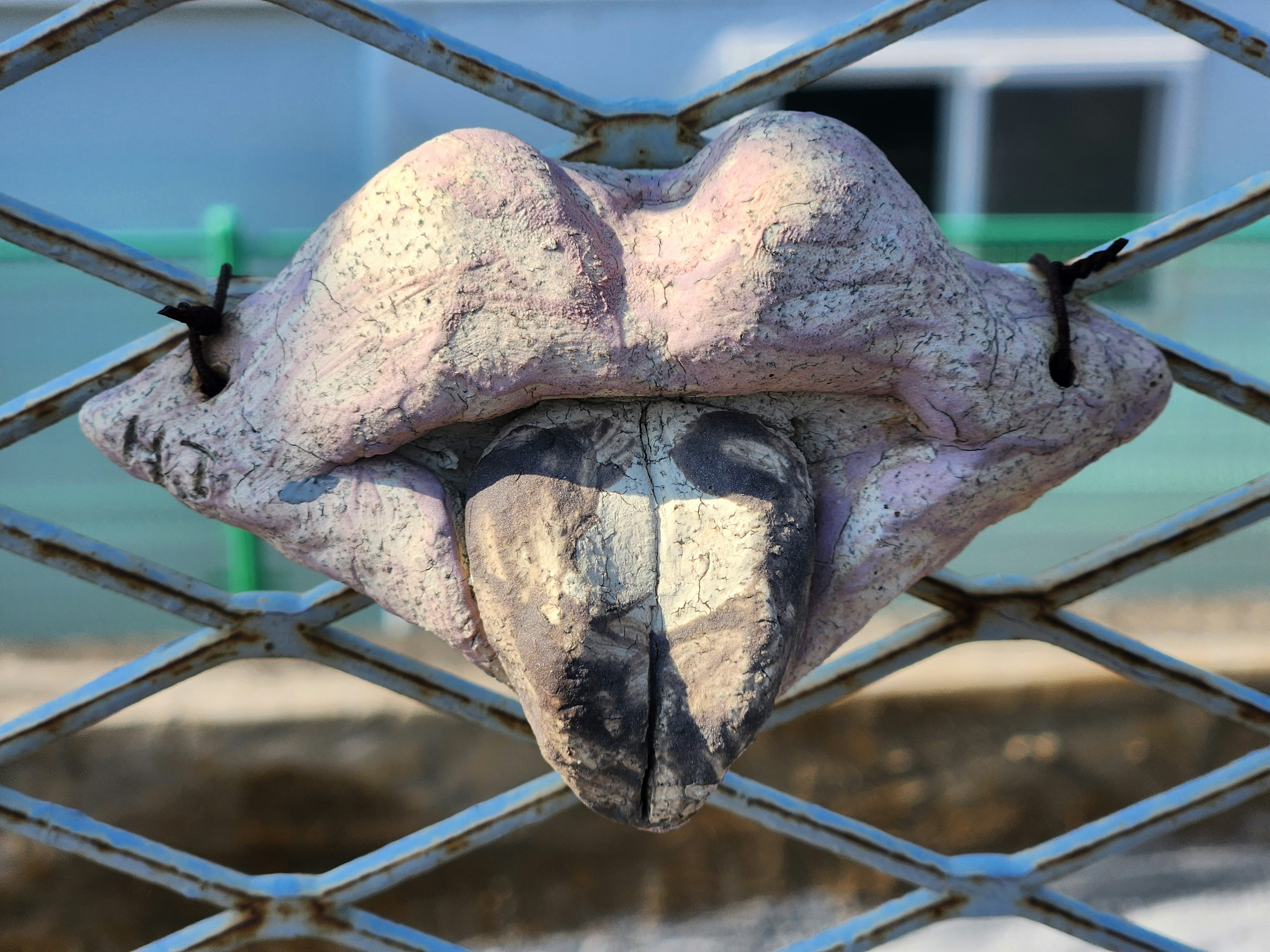 Weathered Gatekeeper: A close-up on the sculpted mouth behind the chain-link