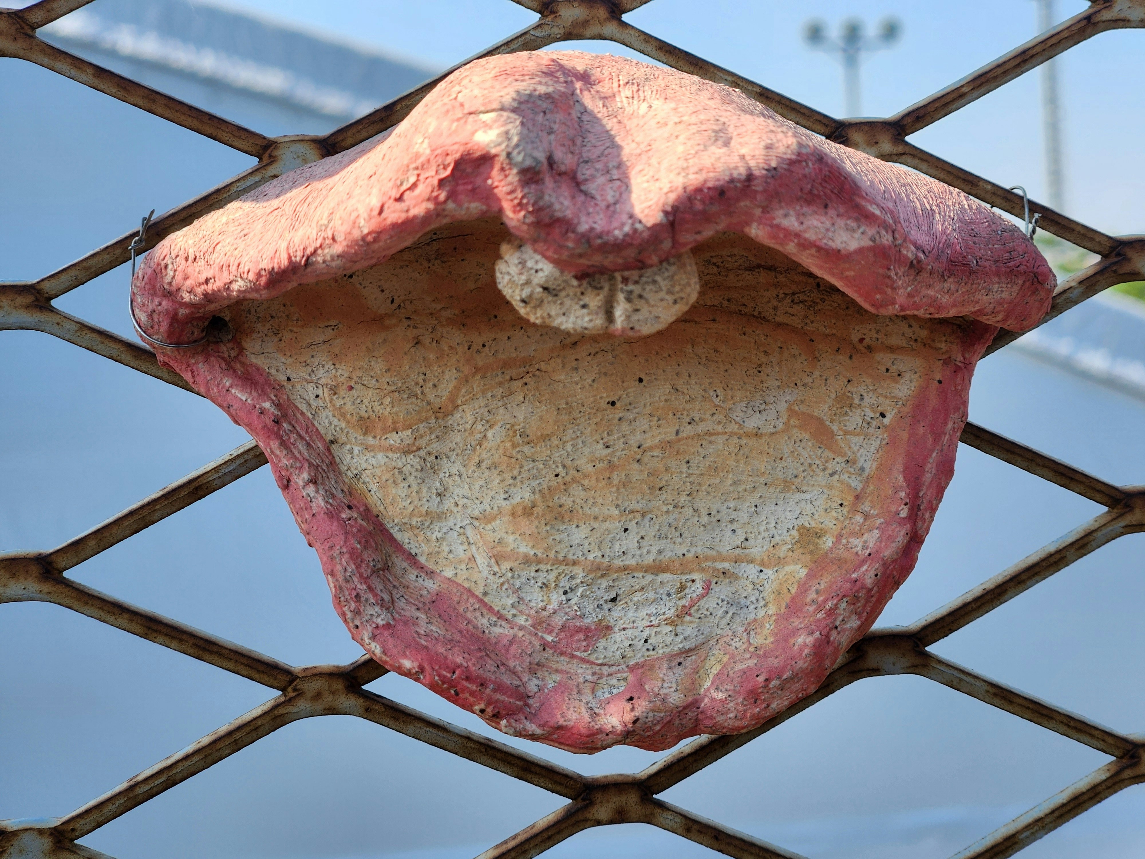 Pink Shell Framed by Rusted Lattice: A Quiet Macro Moment