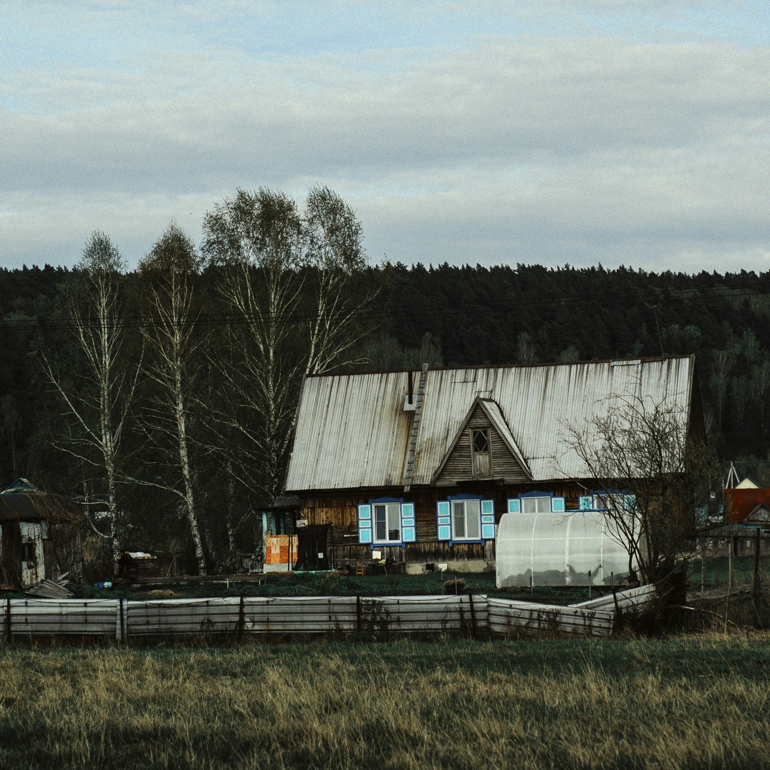 A quaint wooden house nestled among birch trees, surrounded by a rustic fence and verdant fields under a cloudy sky.