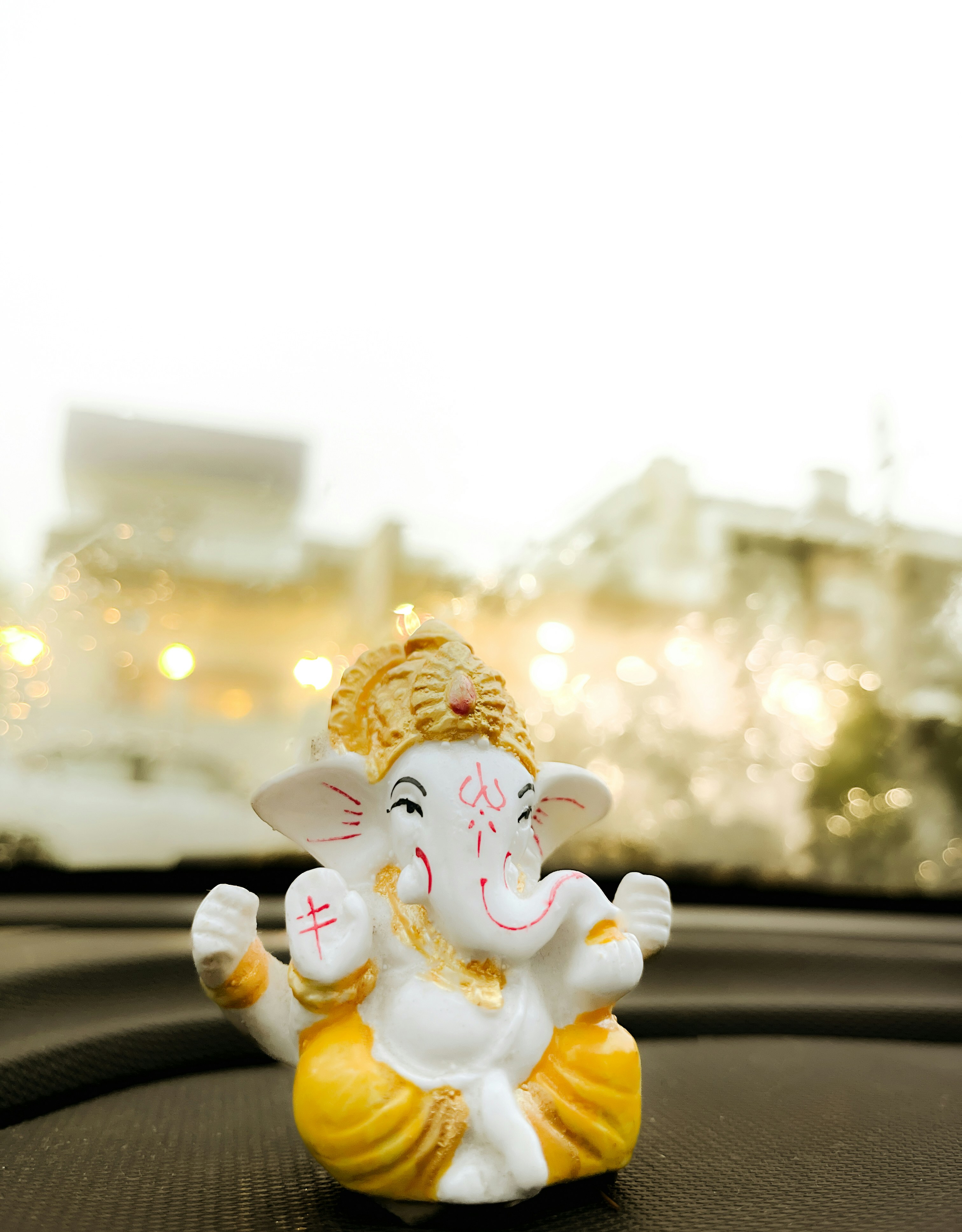 Guardian of the Dashboard: A Serene Presence