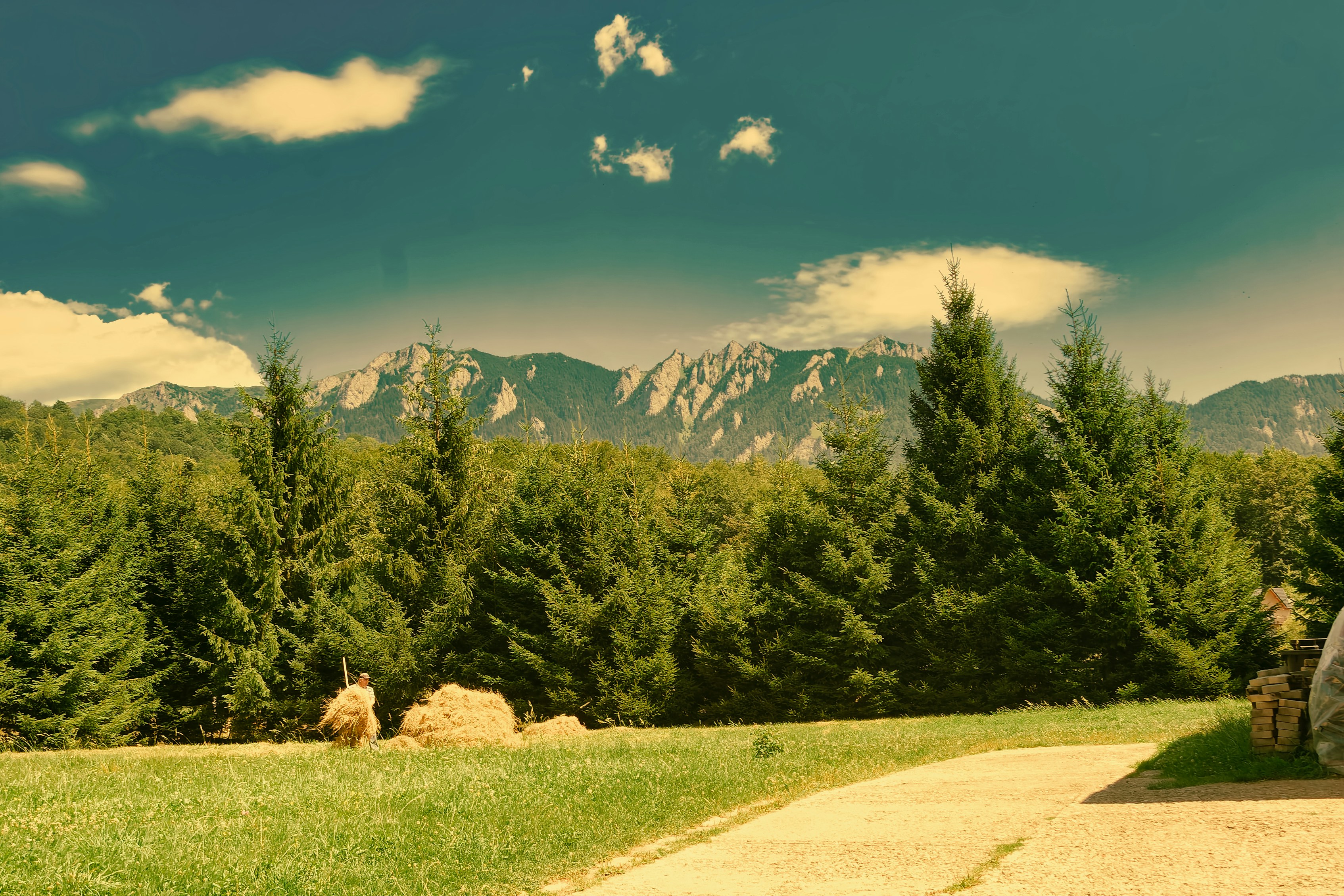 Nature, Cheia, Romania