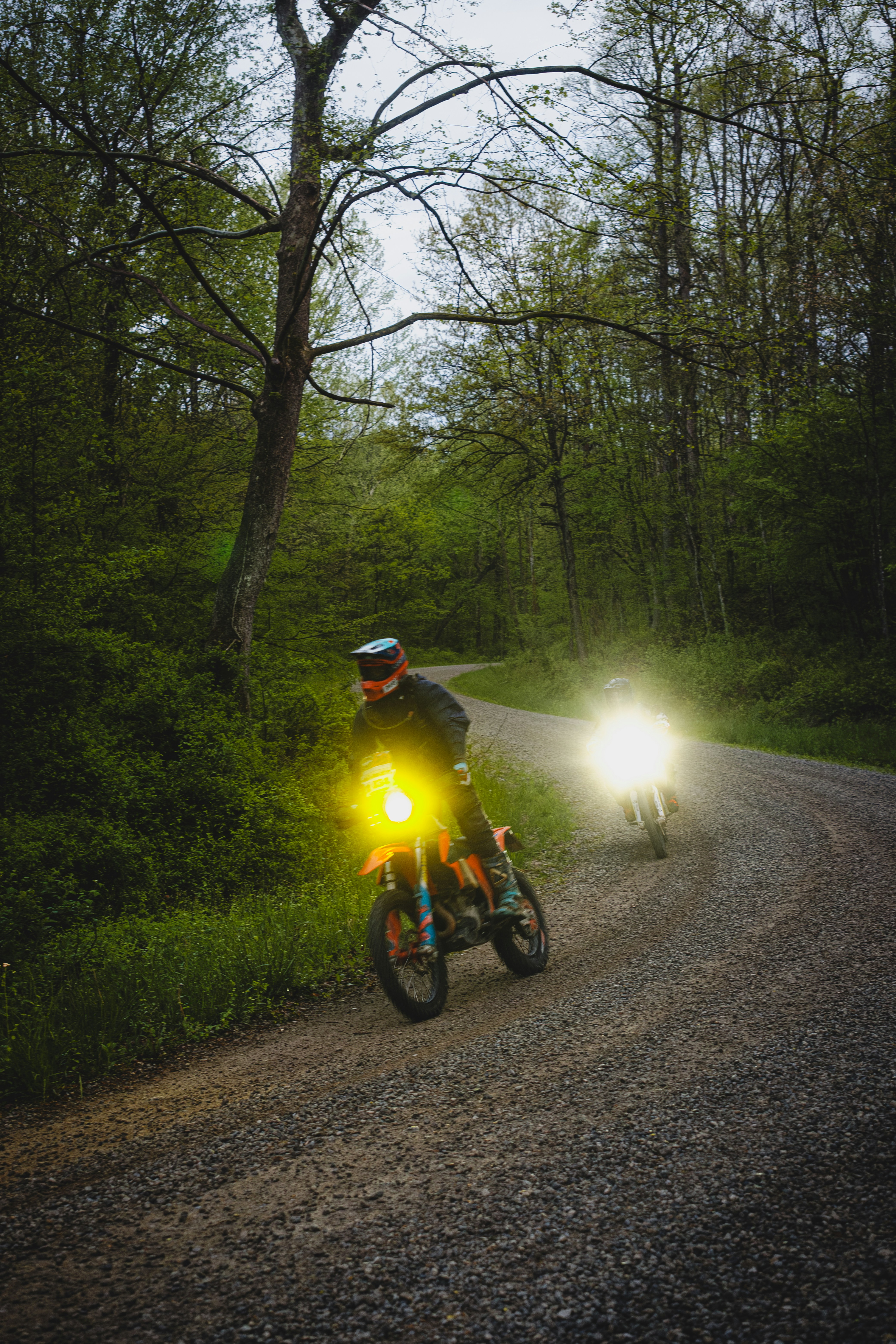Dusk Riders: Headlights Carve Through the Forest Gravel