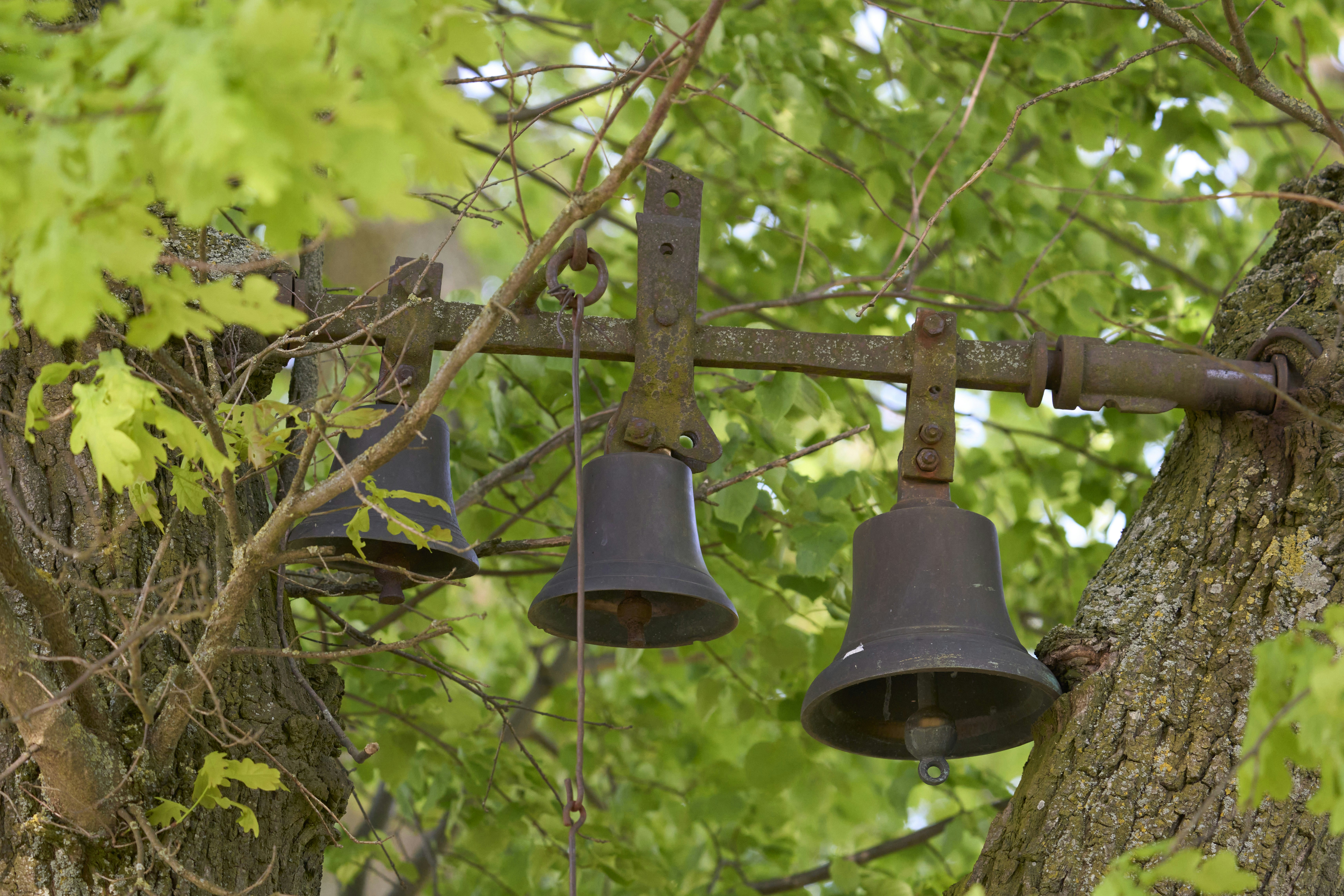 Bells hang from a metal frame in a tree. photo – Free Bell Image on ...