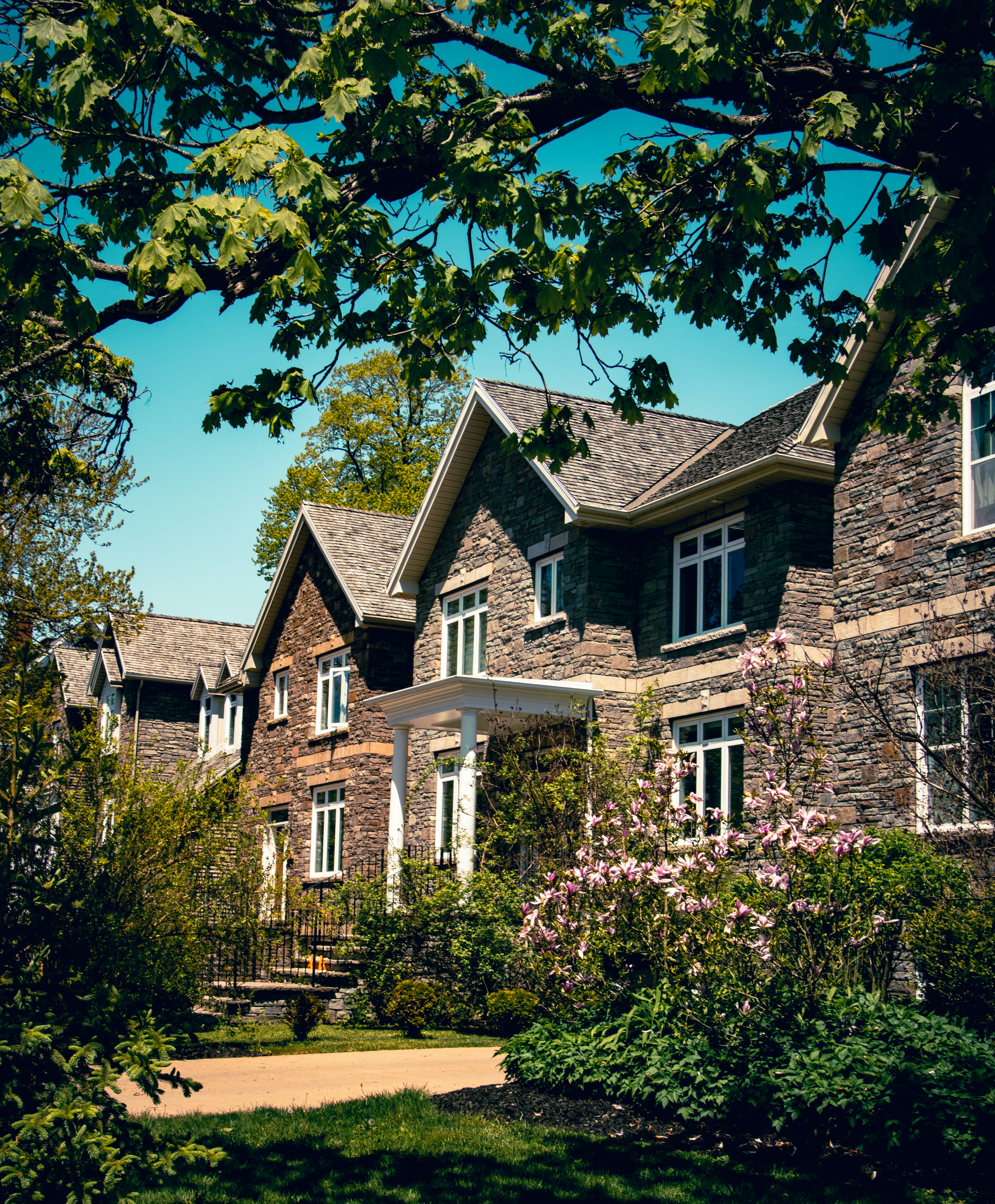 Photo by Dariia Lemesheva with Canon EOS 2000D