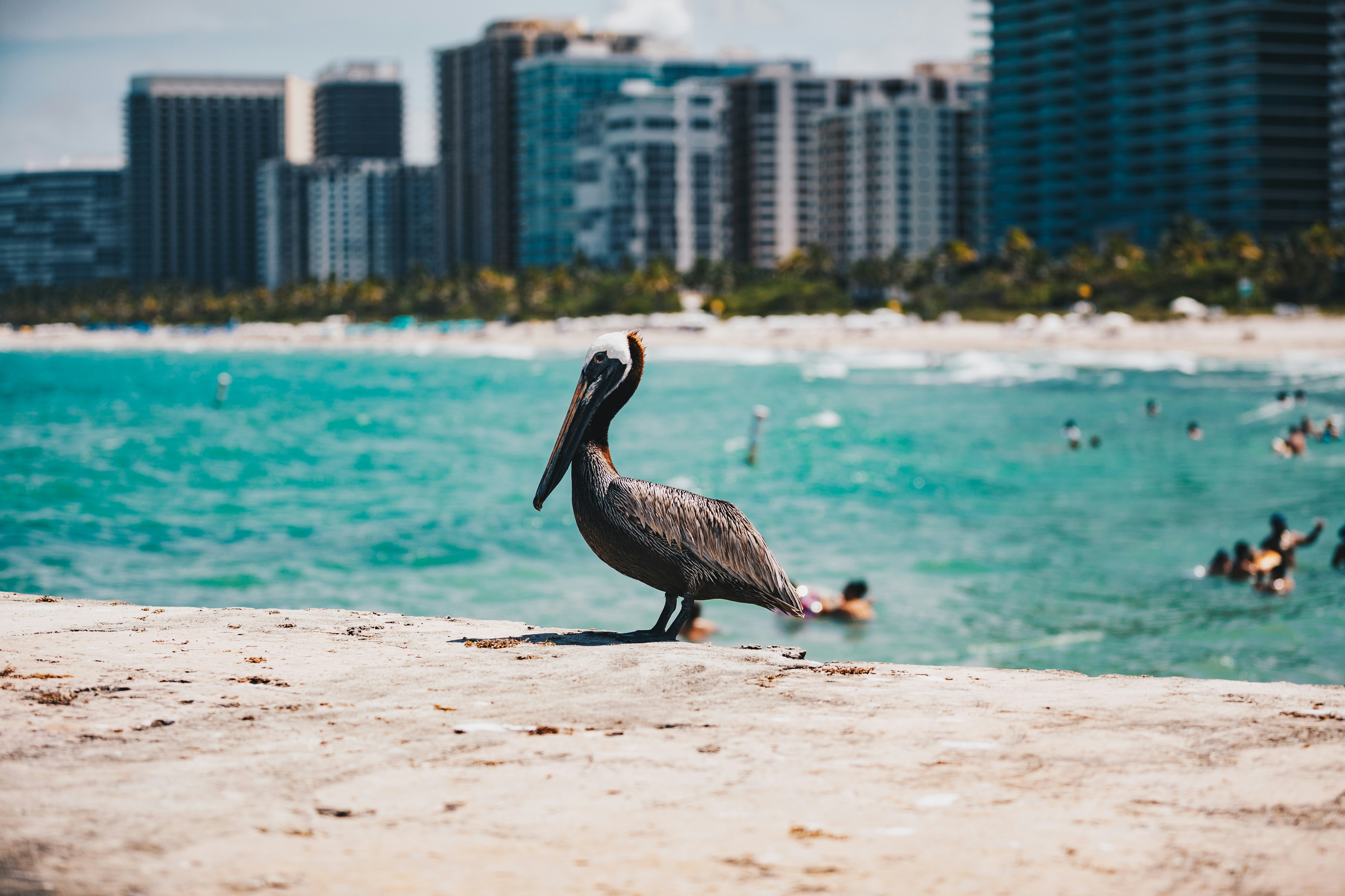 Photo by Austin Hervias with Canon EOS 5D Mark IV