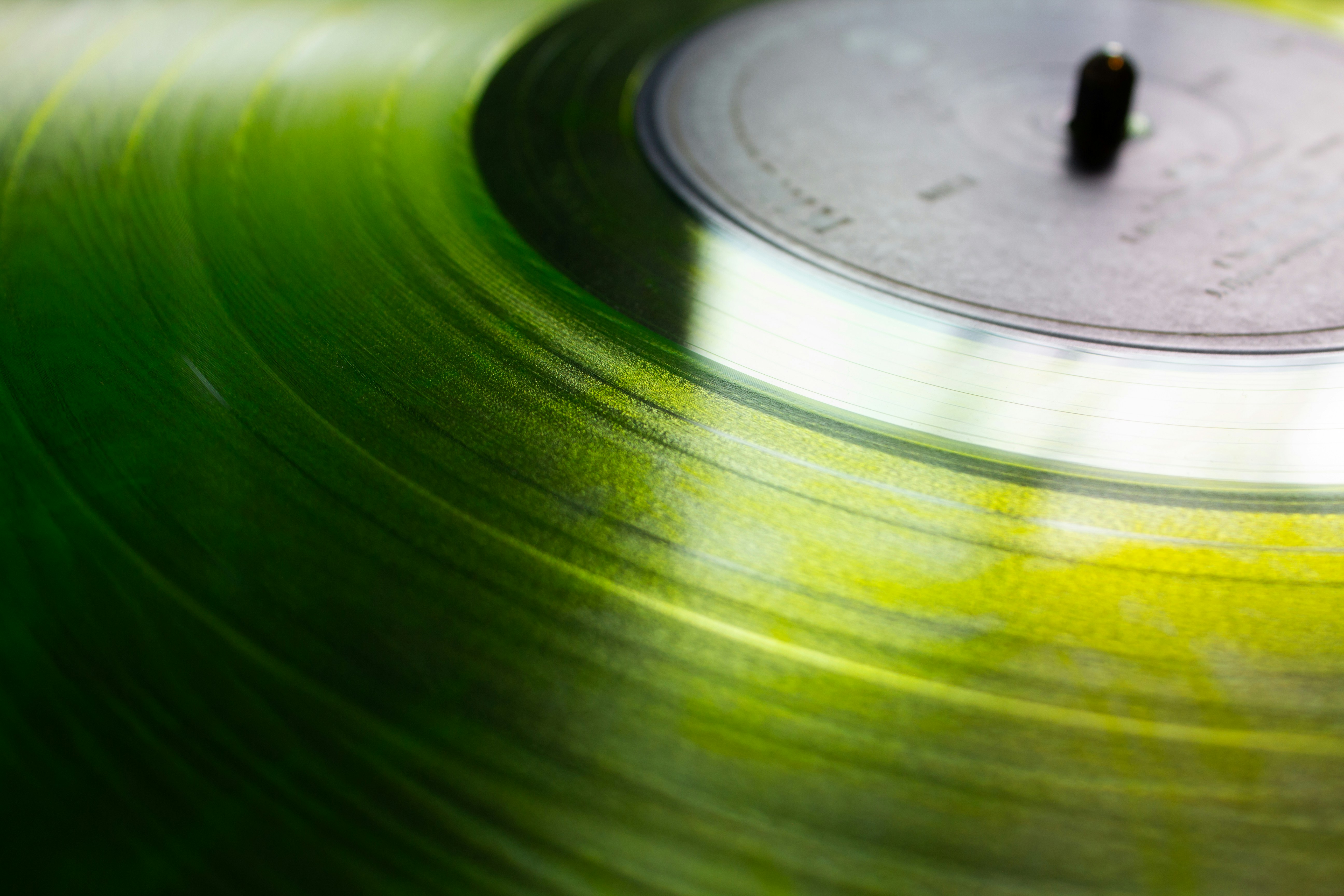 Echoes of Sound: The Vibrant Groove