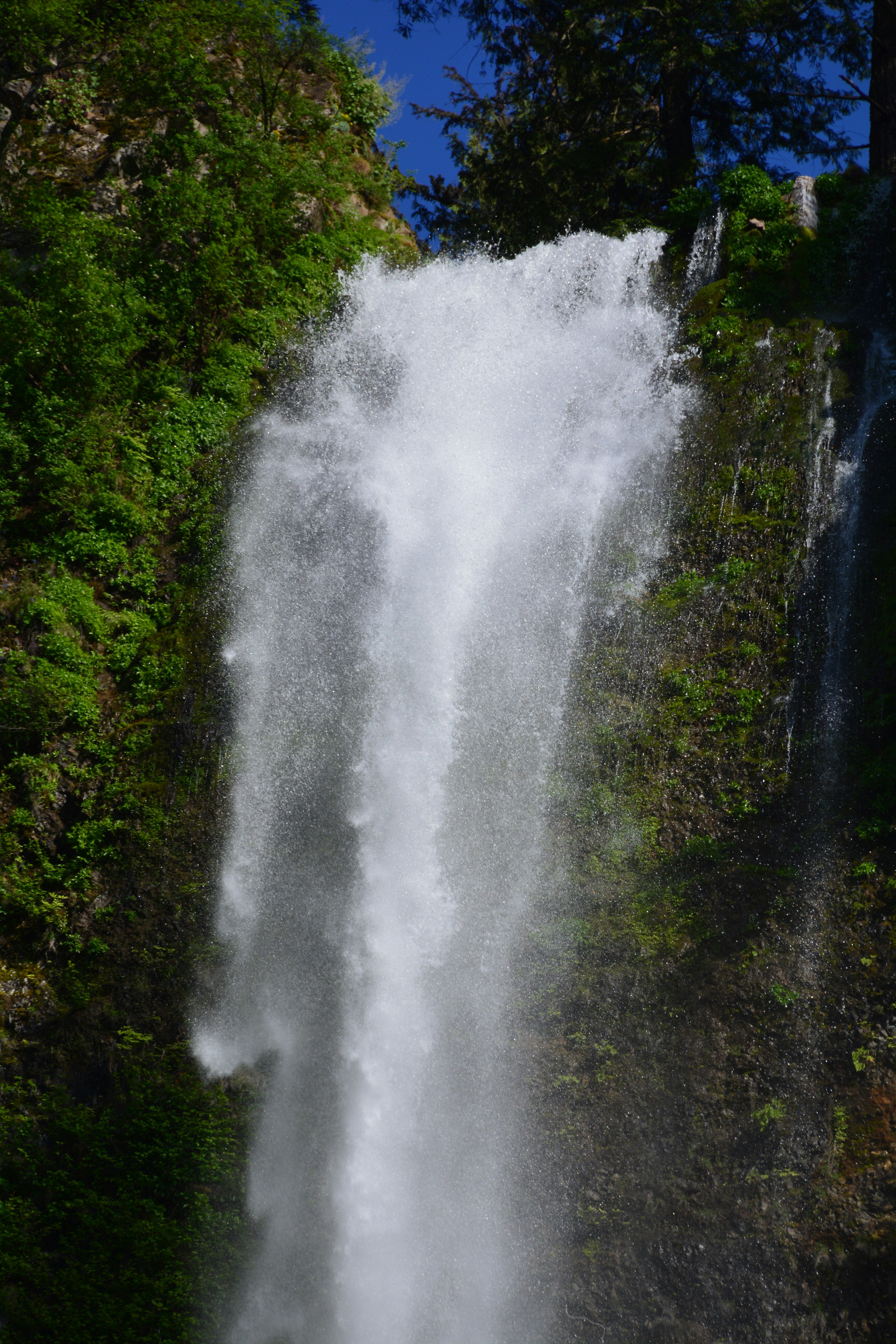 Photo by Somesh Harshavardhan with Nikon D5200