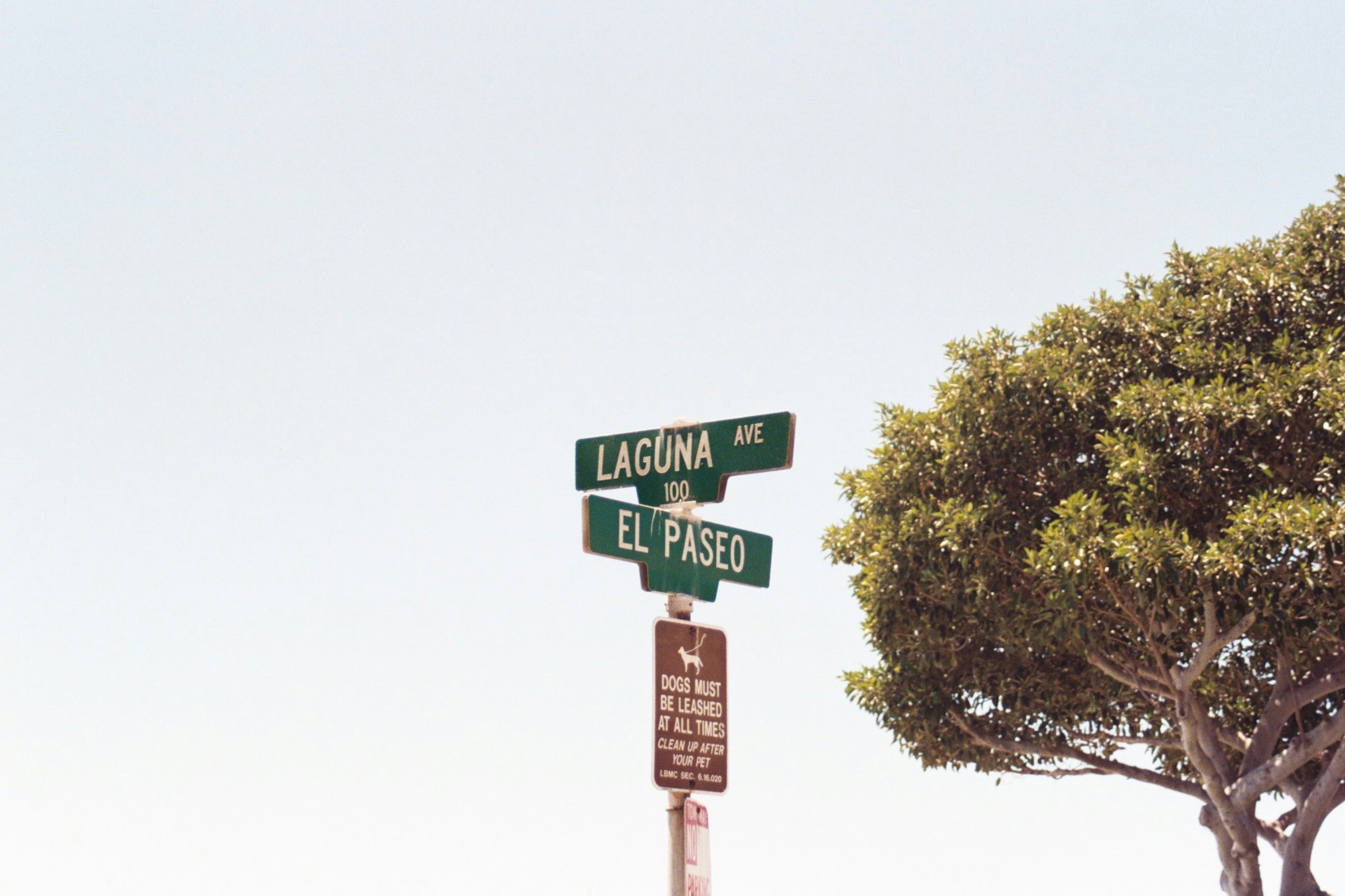 Street signs point towards laguna ave and el paseo. photo – Free Sign ...