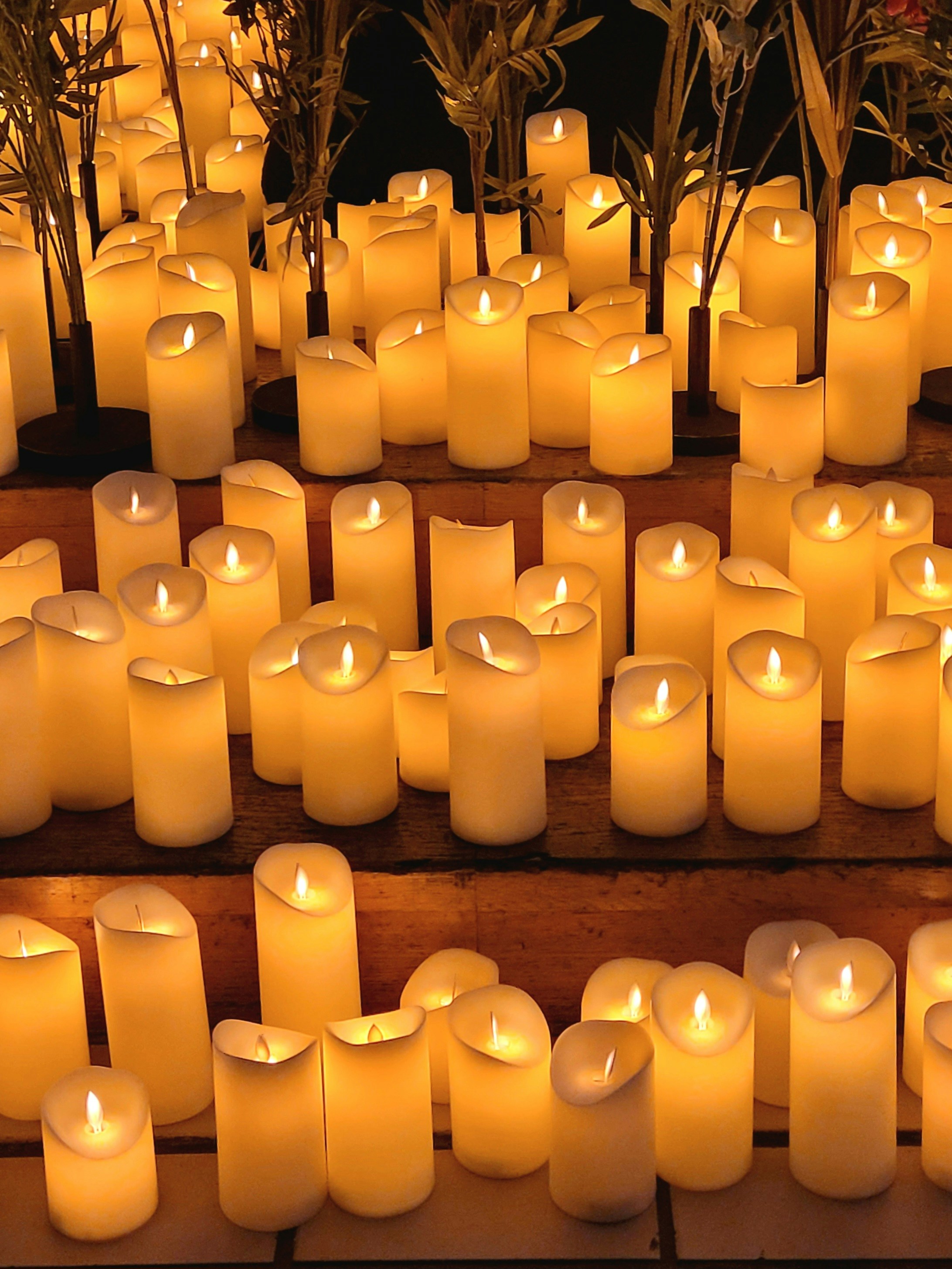 Illuminated Serenity: A Sea of Flickering Flames