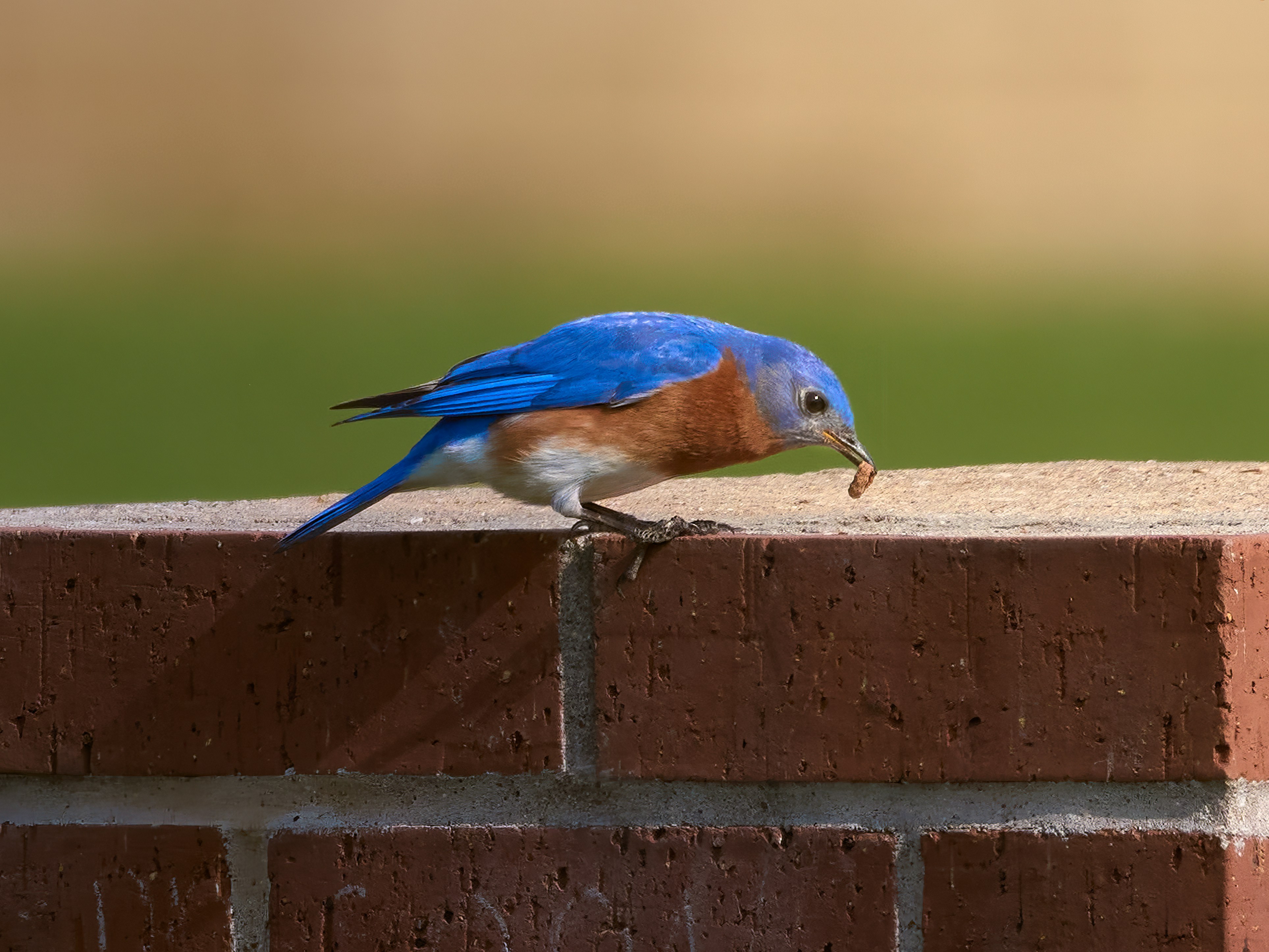 Photo by A with Panasonic Lumix G9 Mark II