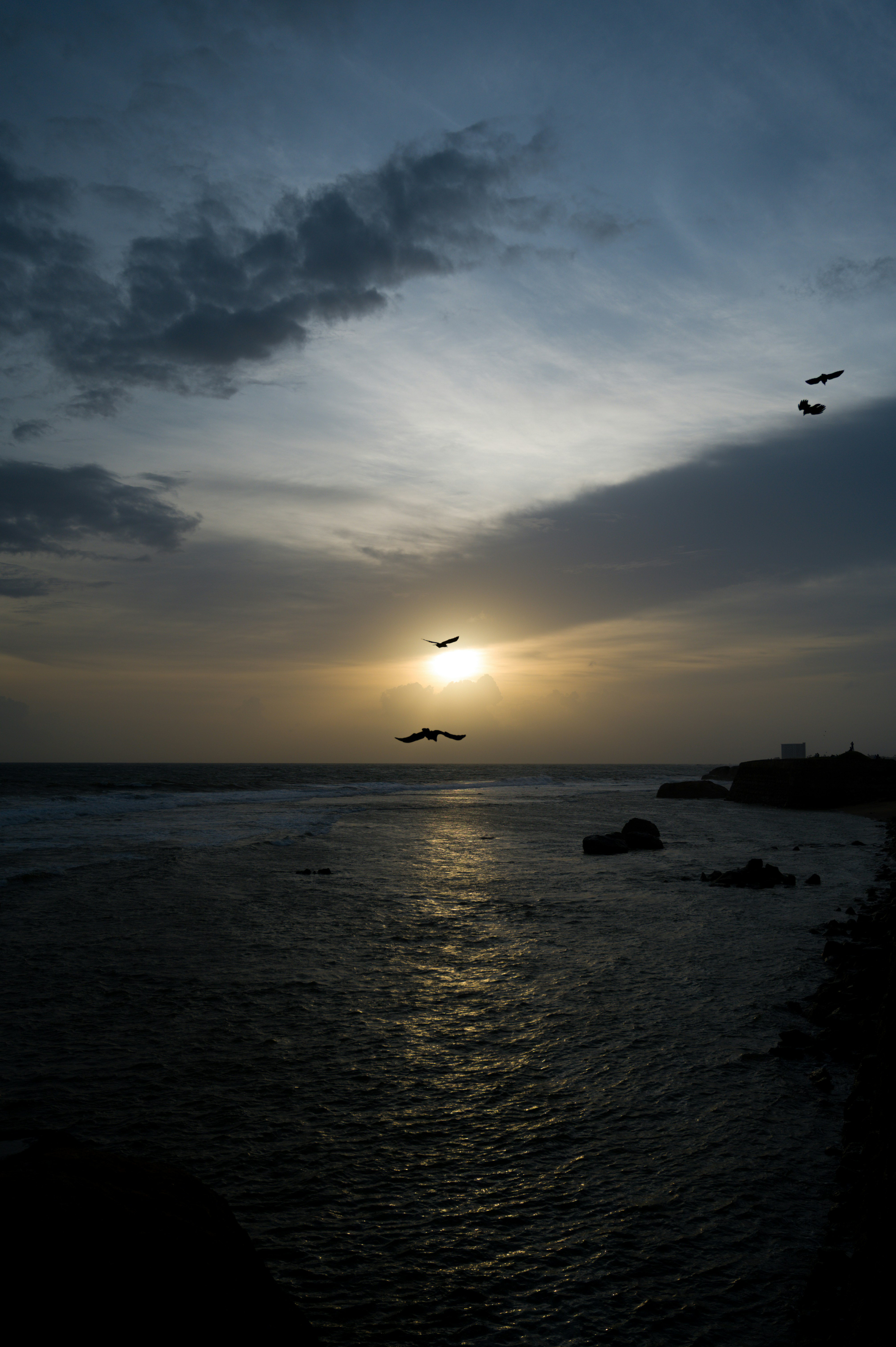 Shubham Singla (@shubhamsingla365) | Unsplash Photo Community