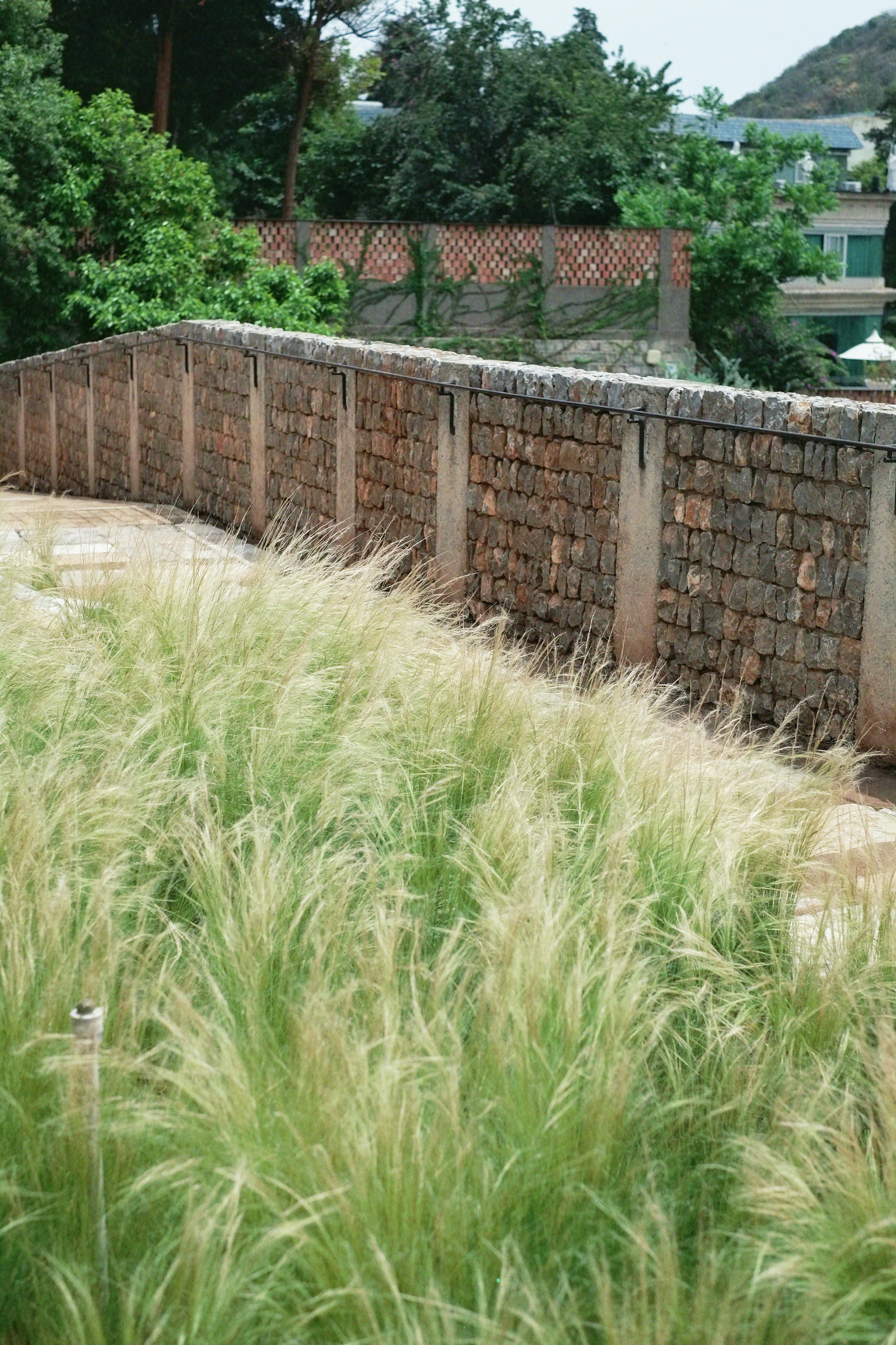 A stone retaining wall runs along a grassy verge, with tall wild grasses in the foreground and distant trees and buildings beyond.