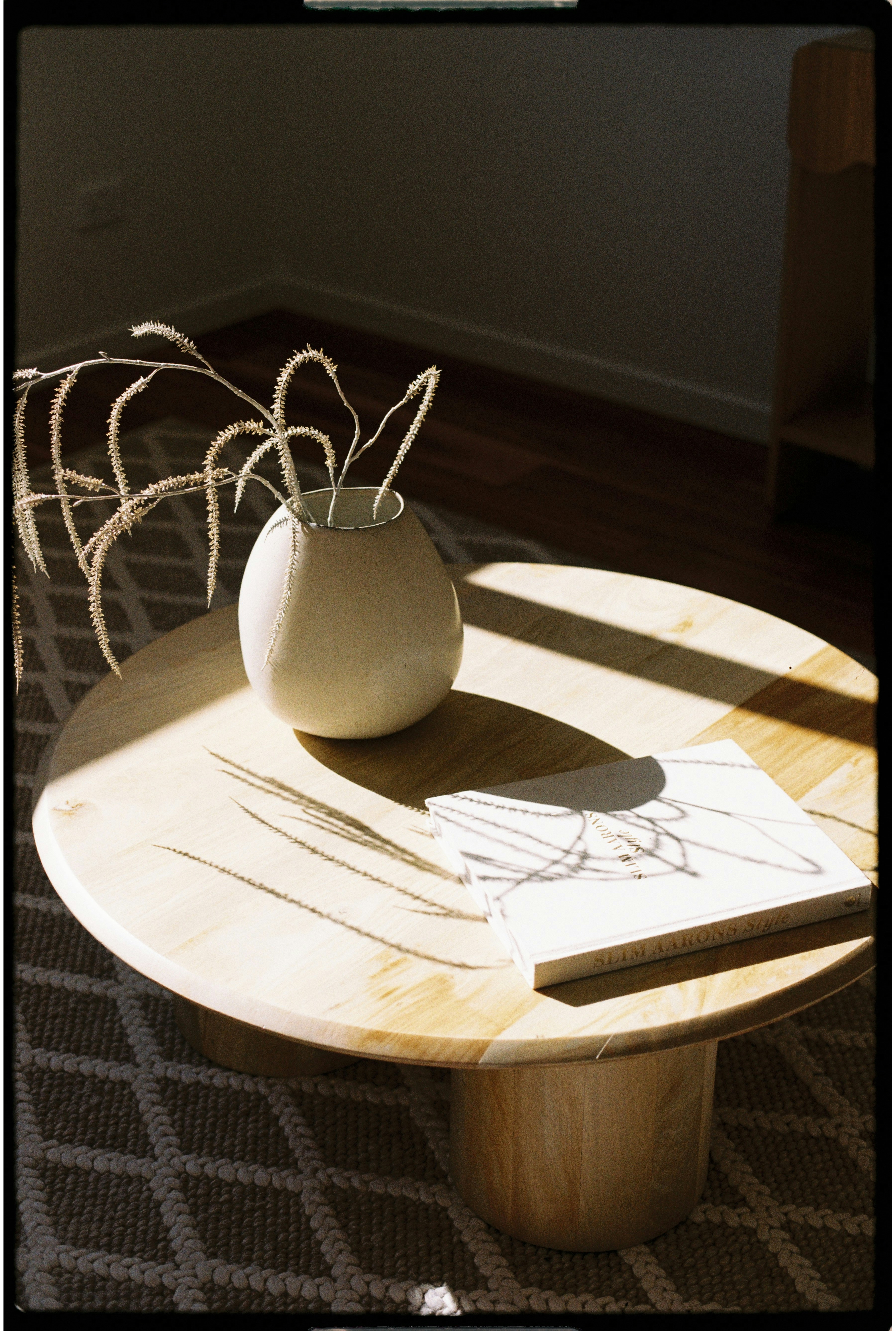 Whispers of Nature: A Minimalist Still Life