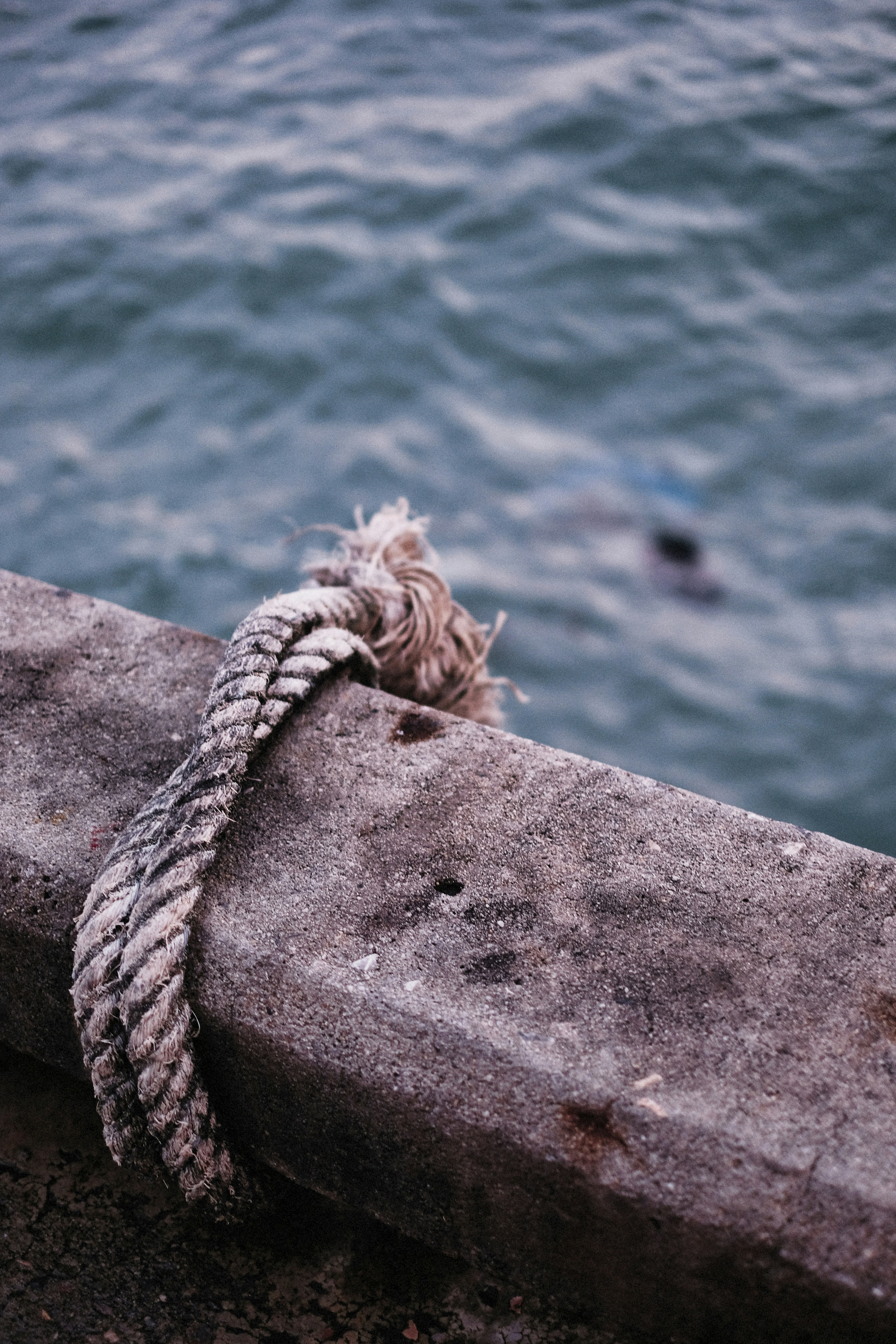 Frayed rope resting on a weathered concrete ledge, with the ocean's surface shimmering below. The blurred water hints at the depths beyond.