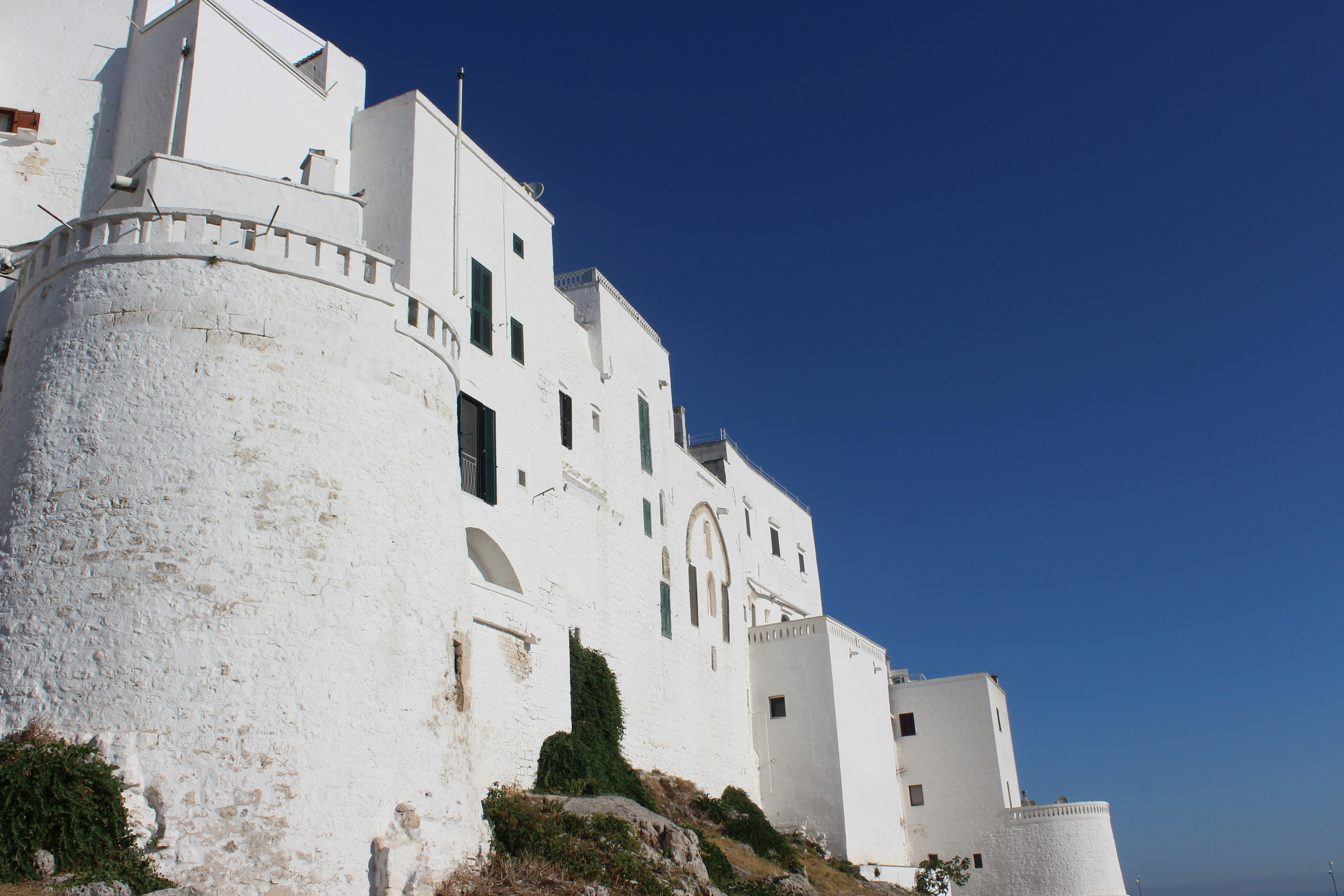 Photo by Jessika Stumbo with Canon EOS 700D