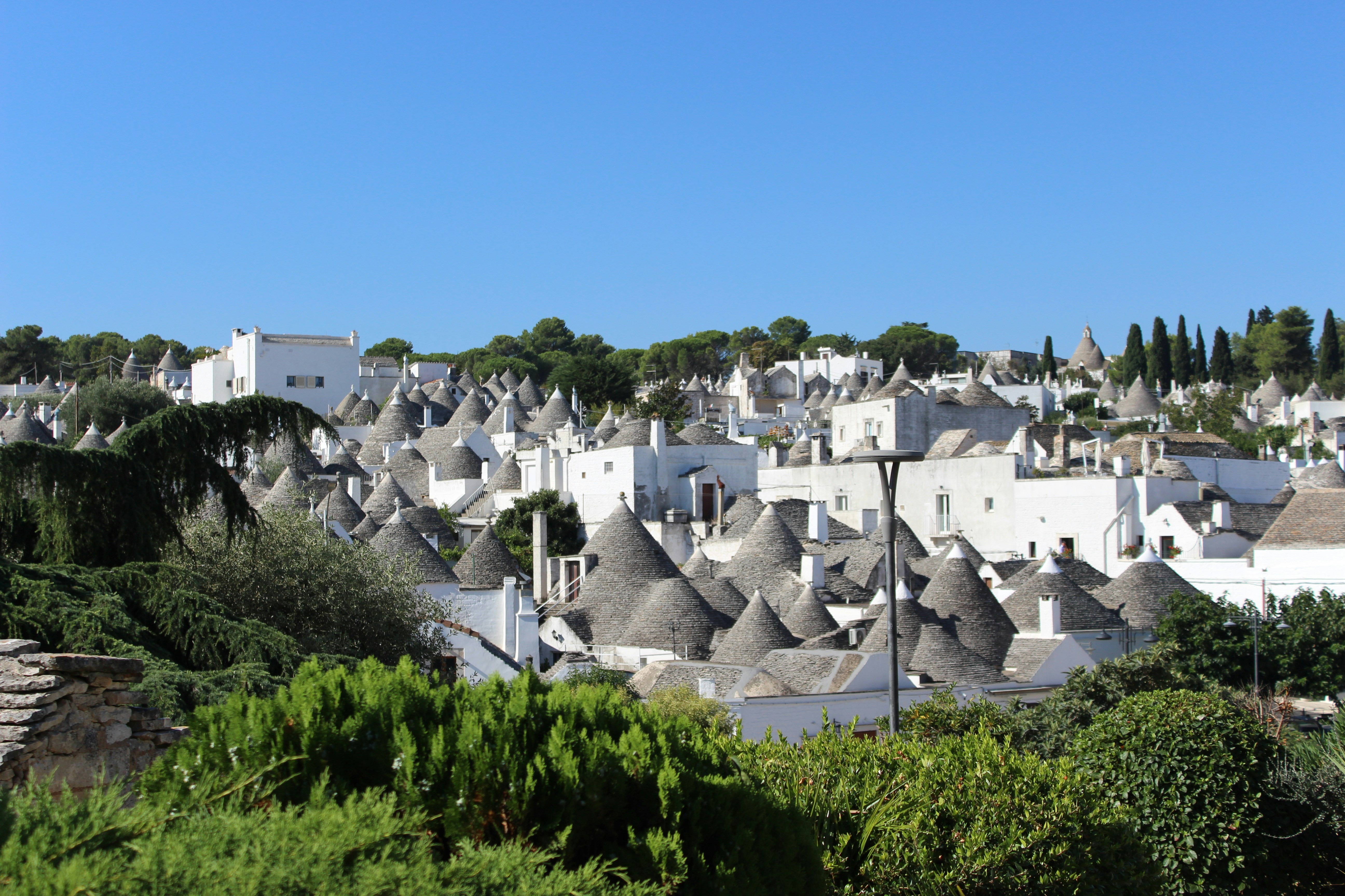 Sunlit Trulli: A Dense Sea of Cone Roofs in a White-washed Town
