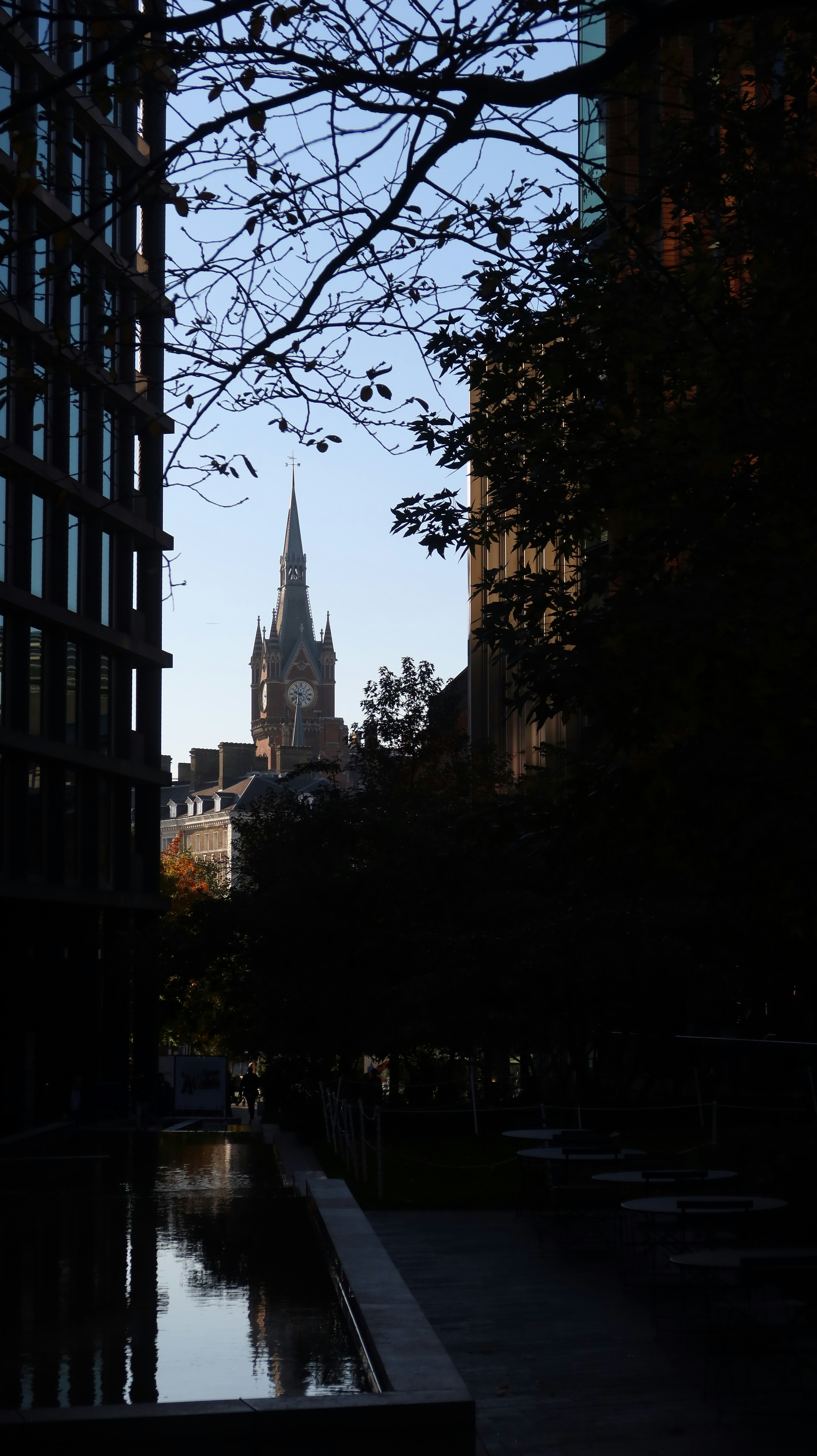 Clock Tower Rising Between Shadowed Skyscrapers