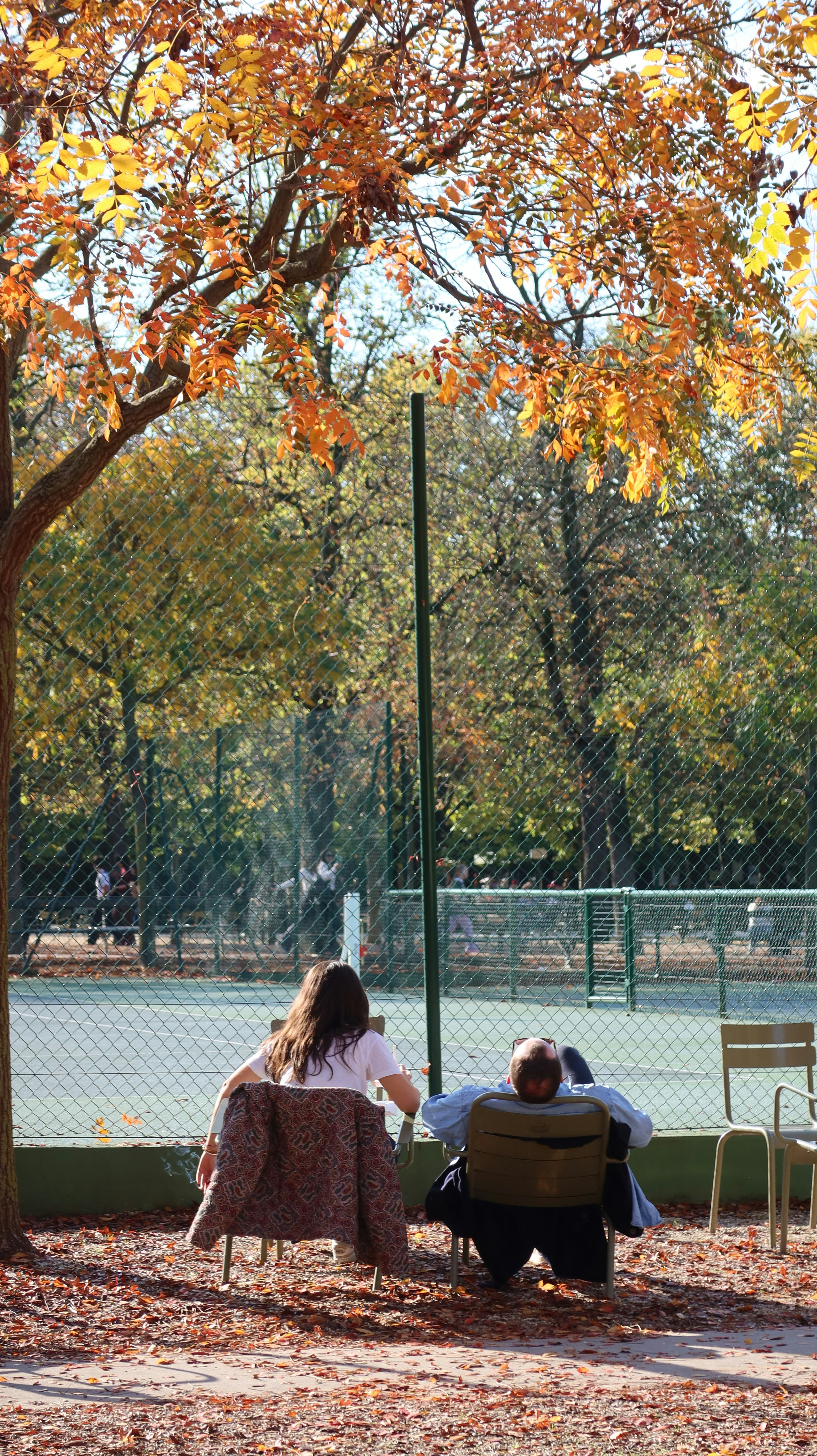Two people relaxing under fall trees, watching tennis. photo – Free ...