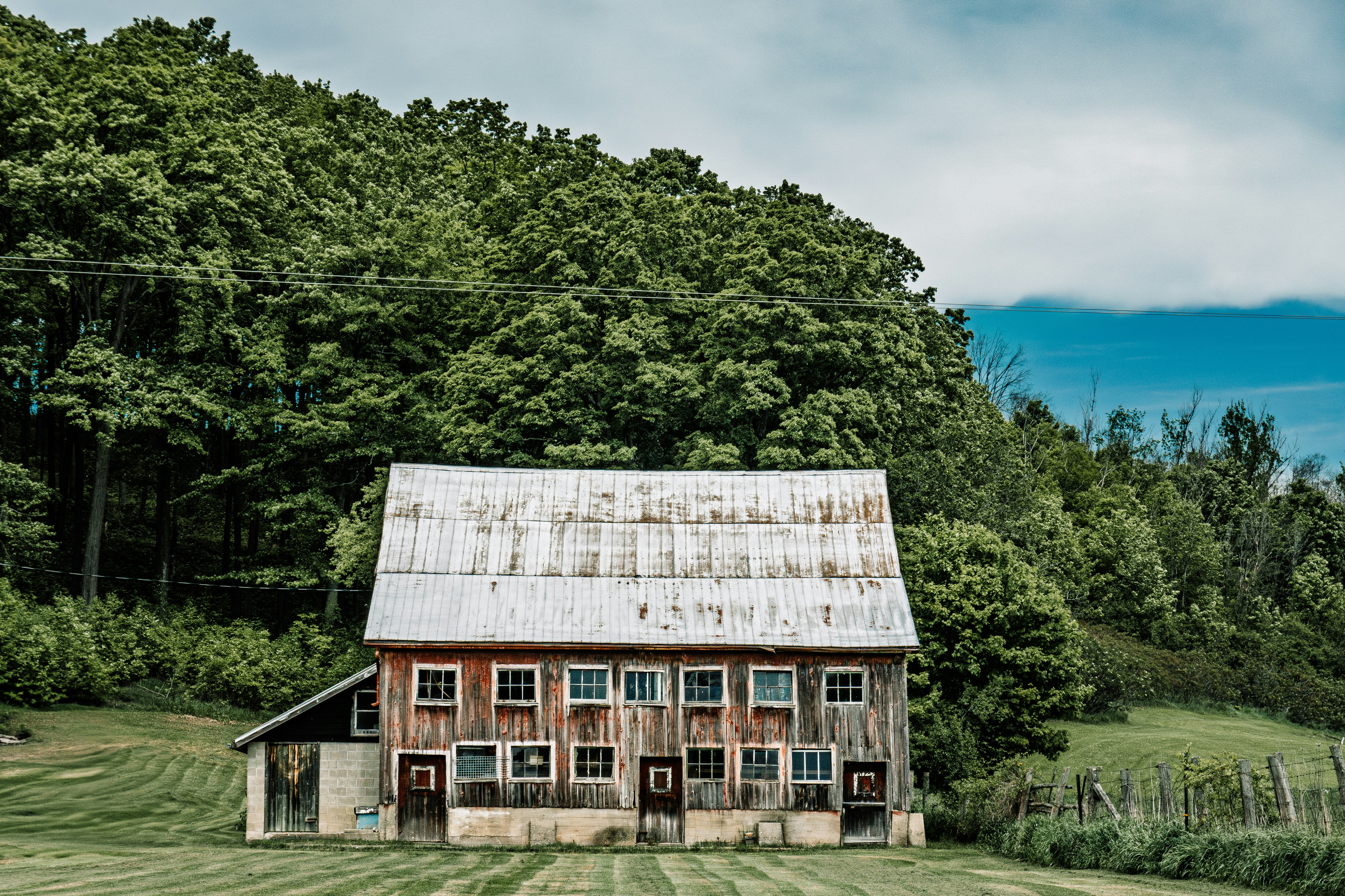 Sony RX100 VII Sample Shots