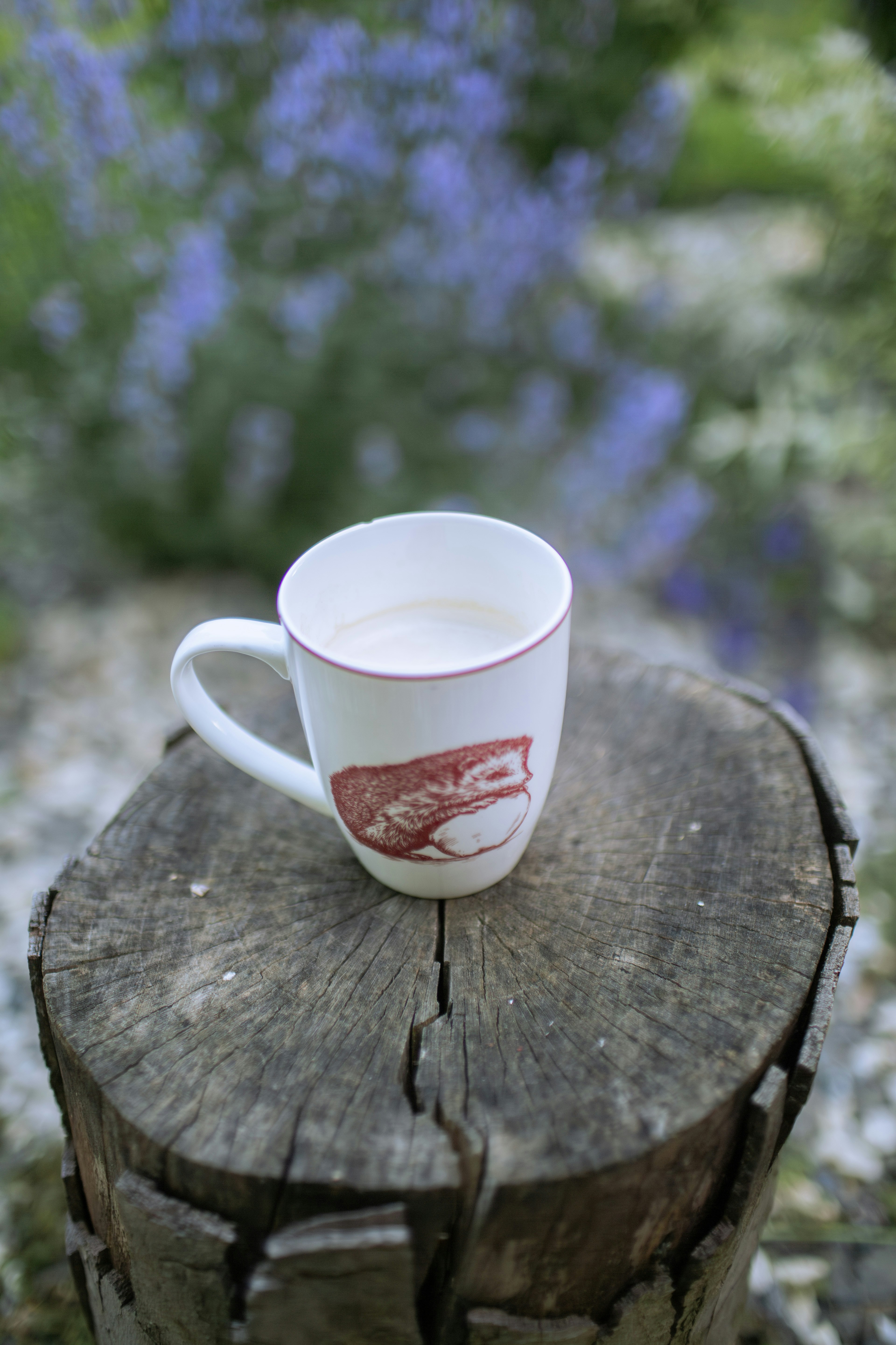 Nature Cup Pictures | Download Free Images on Unsplash