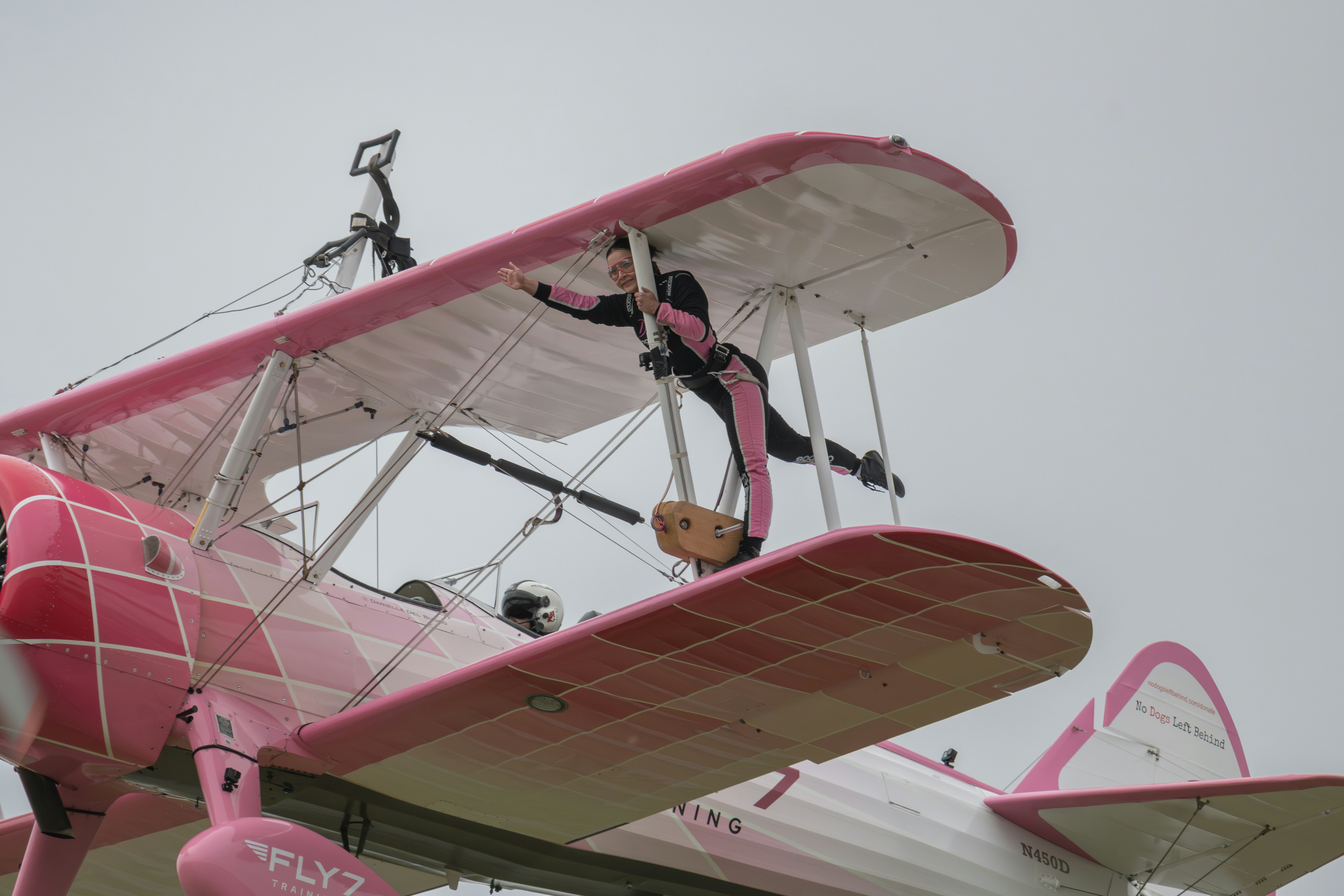 Wingwalker in Rosy Skies: A Pink Biplane Ballet